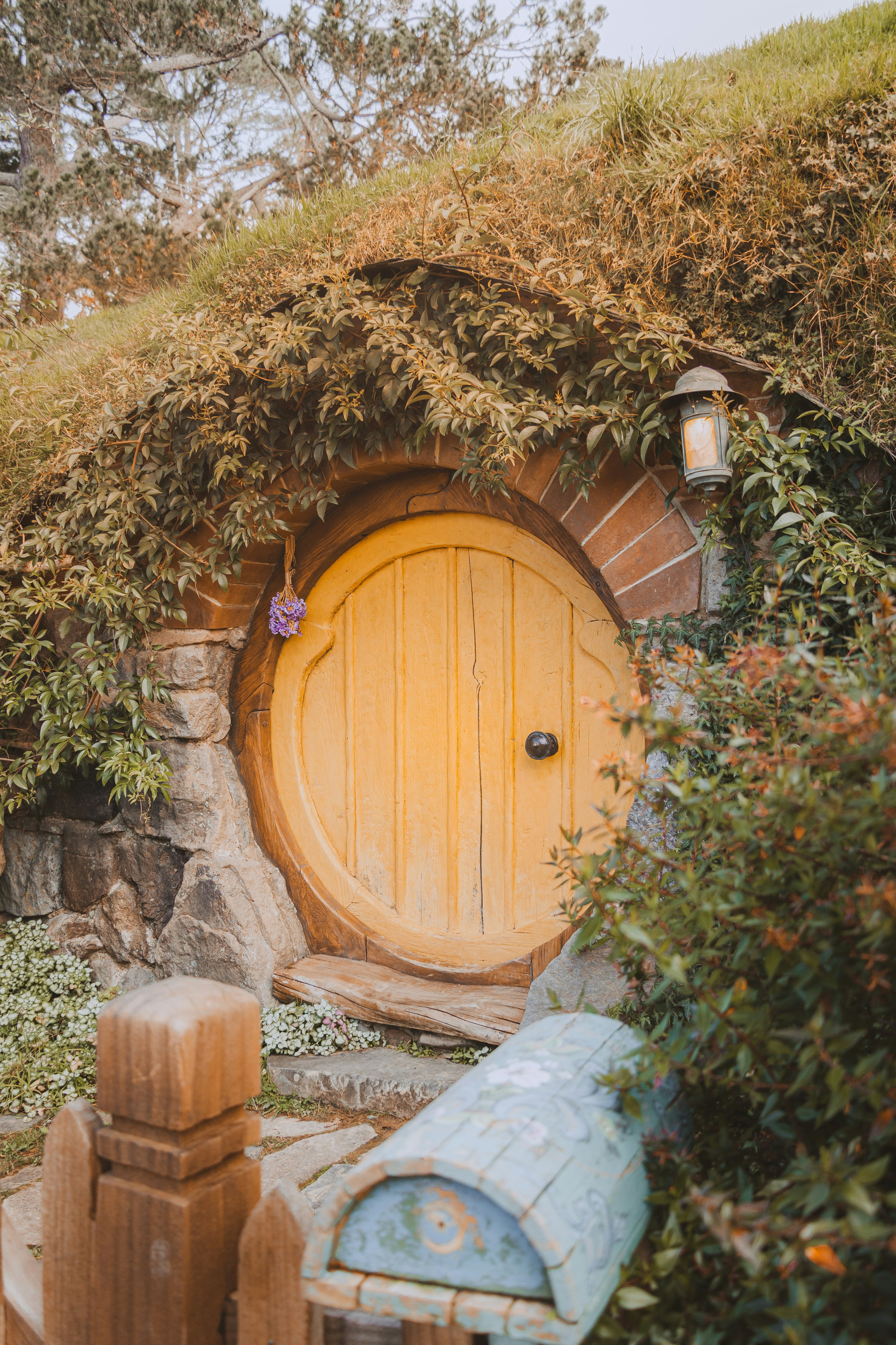 Hidden Round Door: An Ivy-Clad Hobbit Cottage Emerges