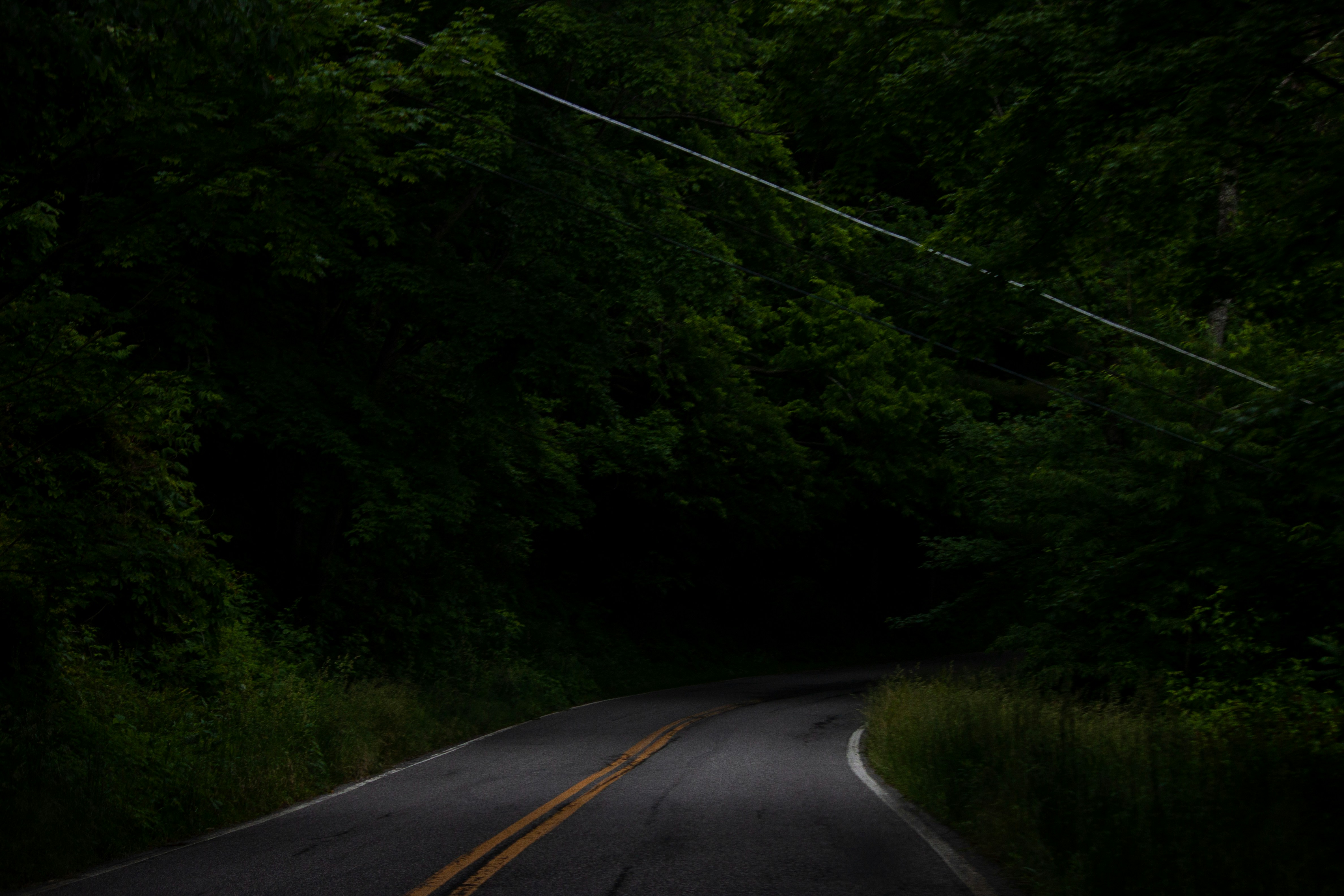 Whispers of the Winding Road