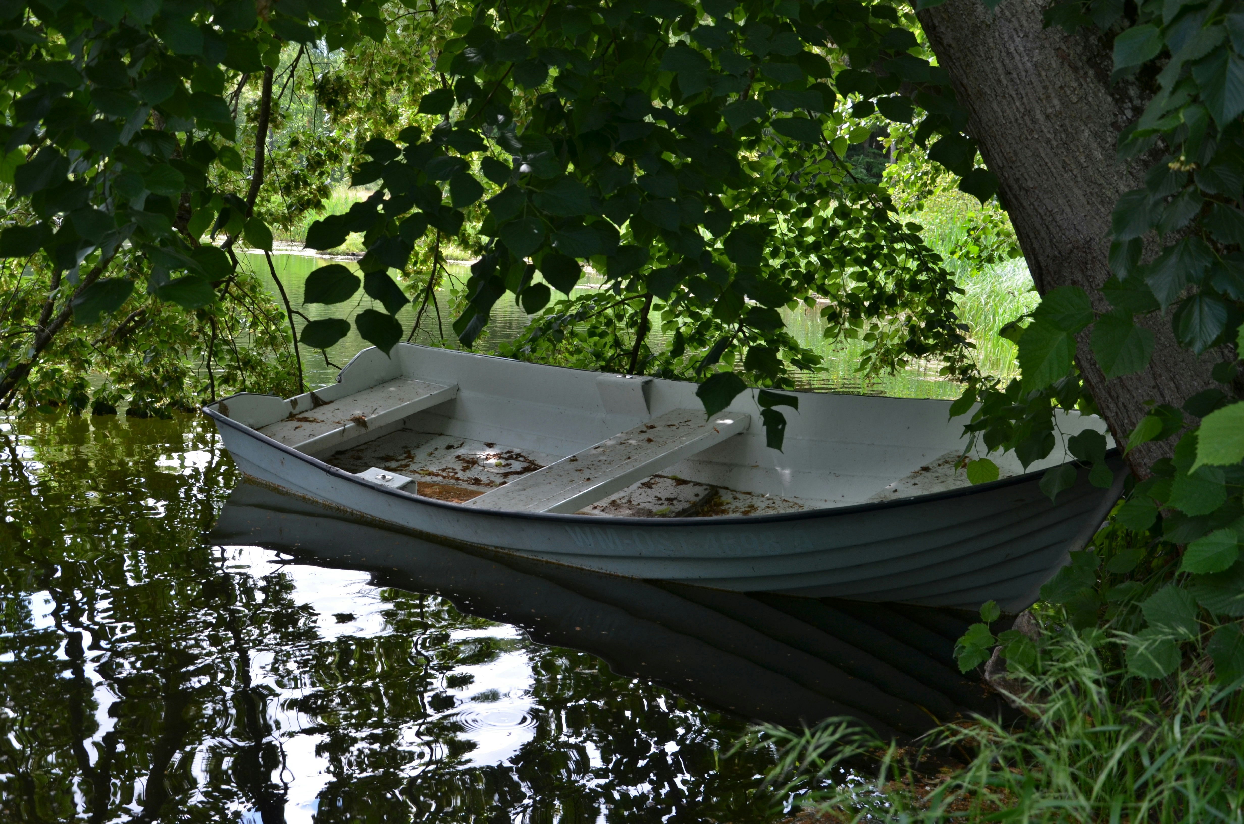 Photo by Stanisław Krawczyk with Nikon D5100