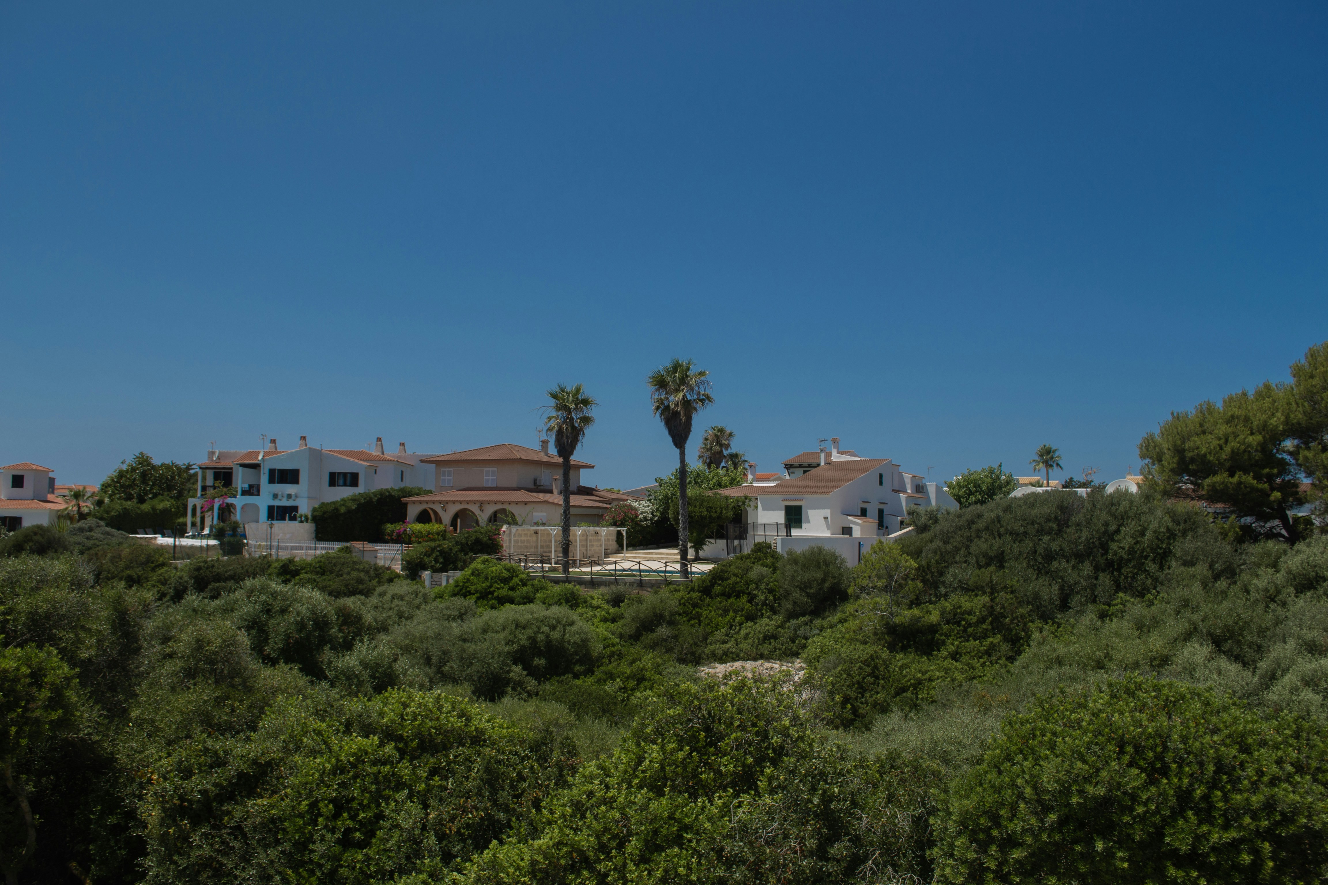 Cluster of houses atop a verdant hillside with palm trees under a bright blue sky.