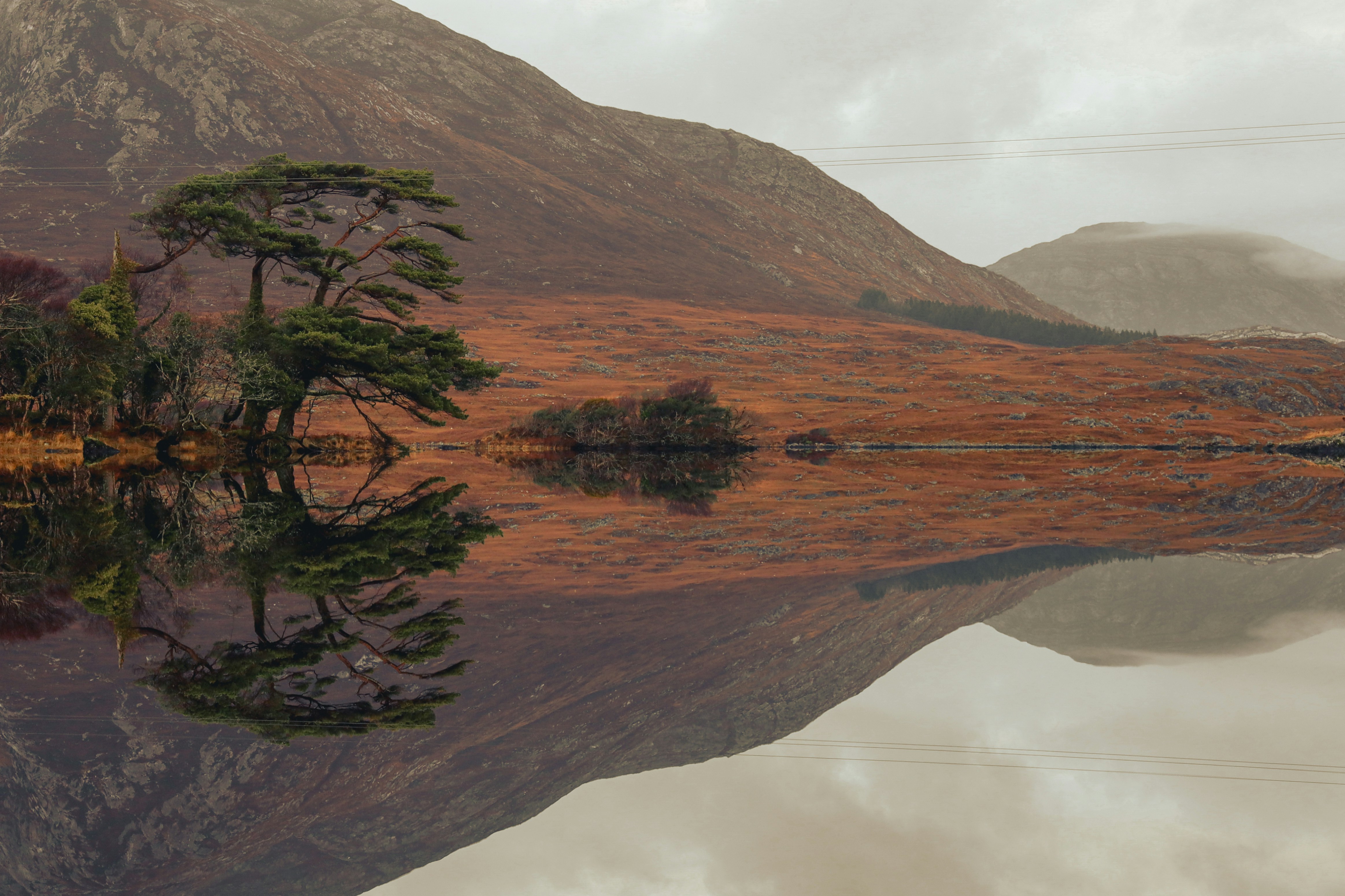 Mirror Lake at Sundown: A Lone Tree Framed by Glacial Hills