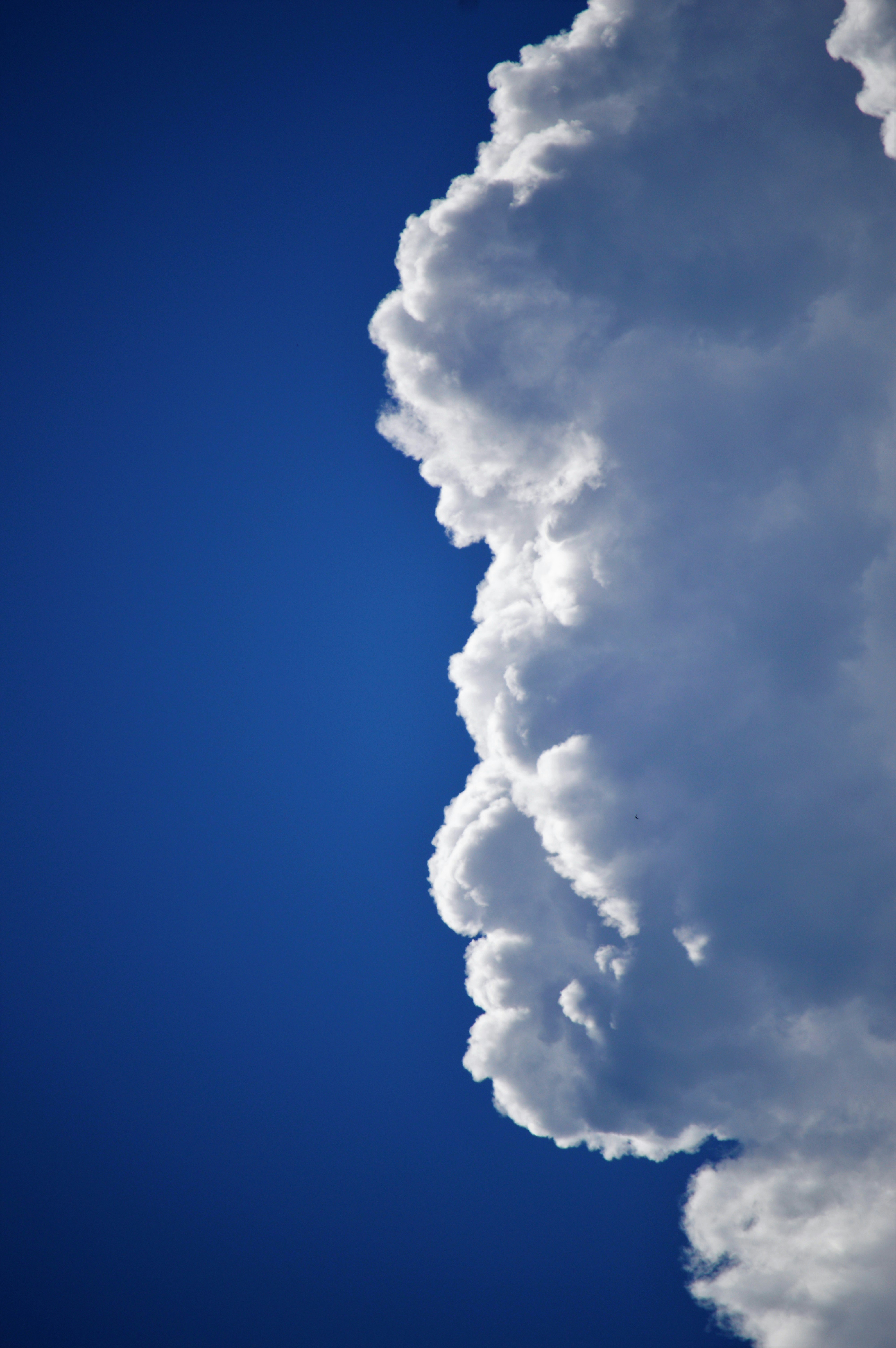 Cobalt Sky and the Cloud's Edge