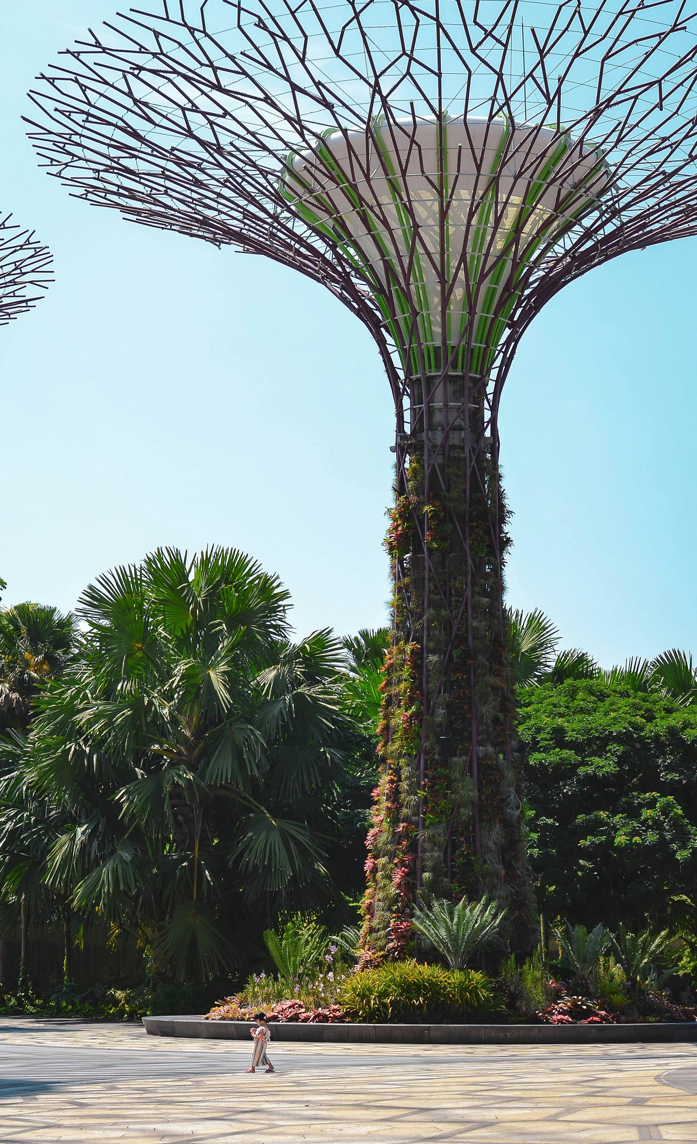 Vertical Garden Sentinel: Supertree Rising Over a Palm Oasis