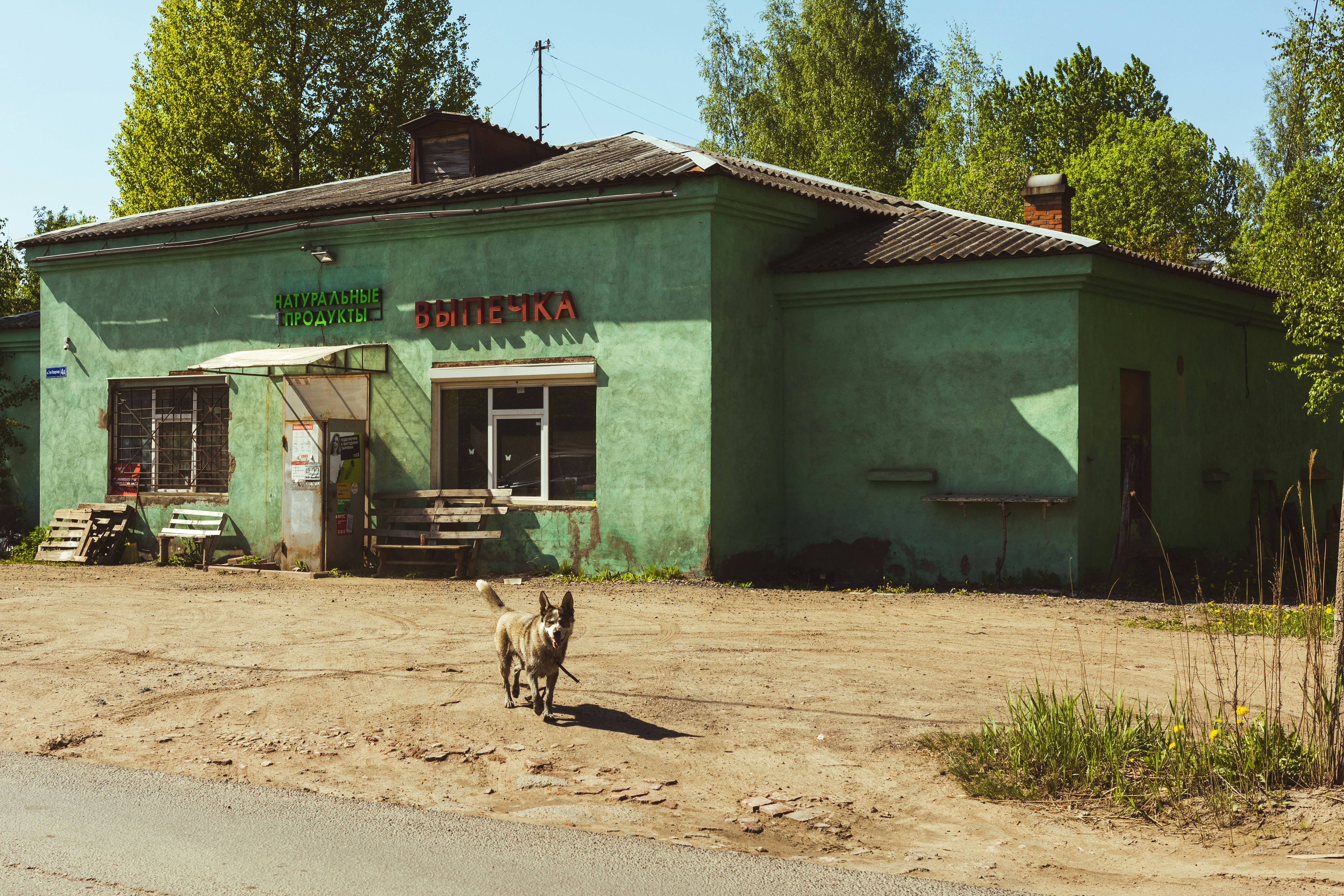 Bakery Storefront Pictures | Download Free Images on Unsplash