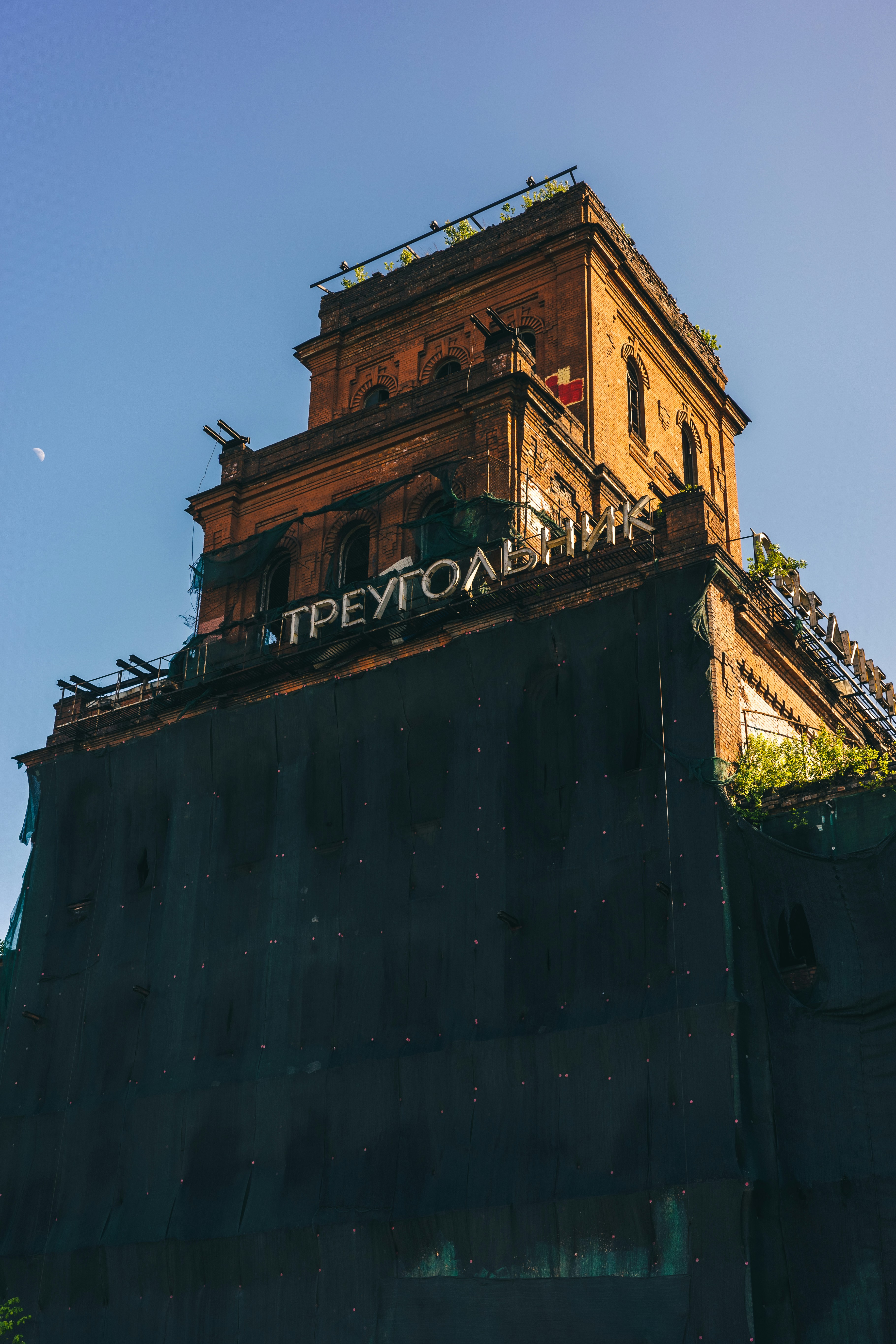 Historic building adorned with creeping vegetation and a partially obscured sign, reaching towards a clear blue sky.