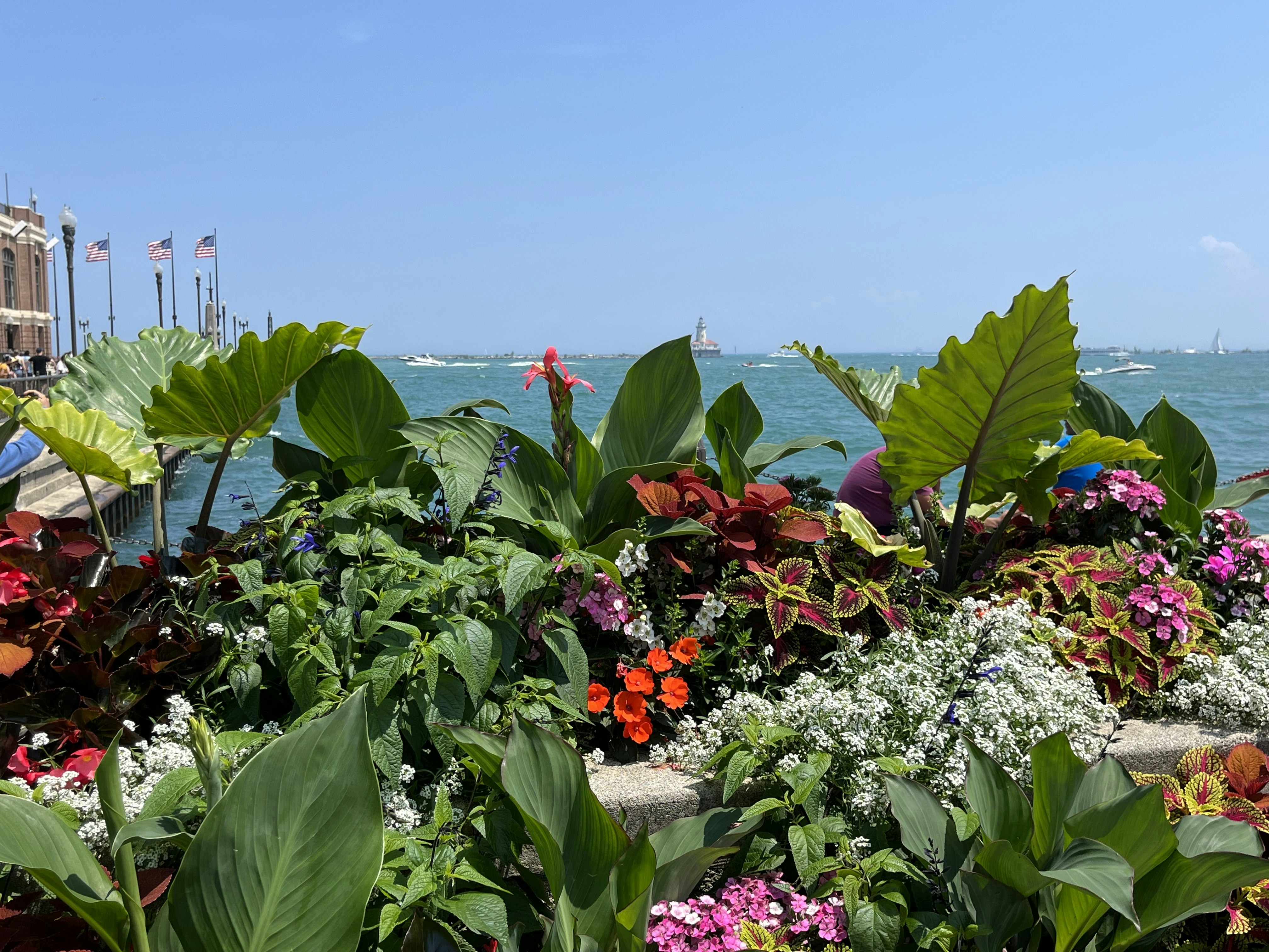 Deborah L Carlson (@ratlady) | Communauté photos Unsplash