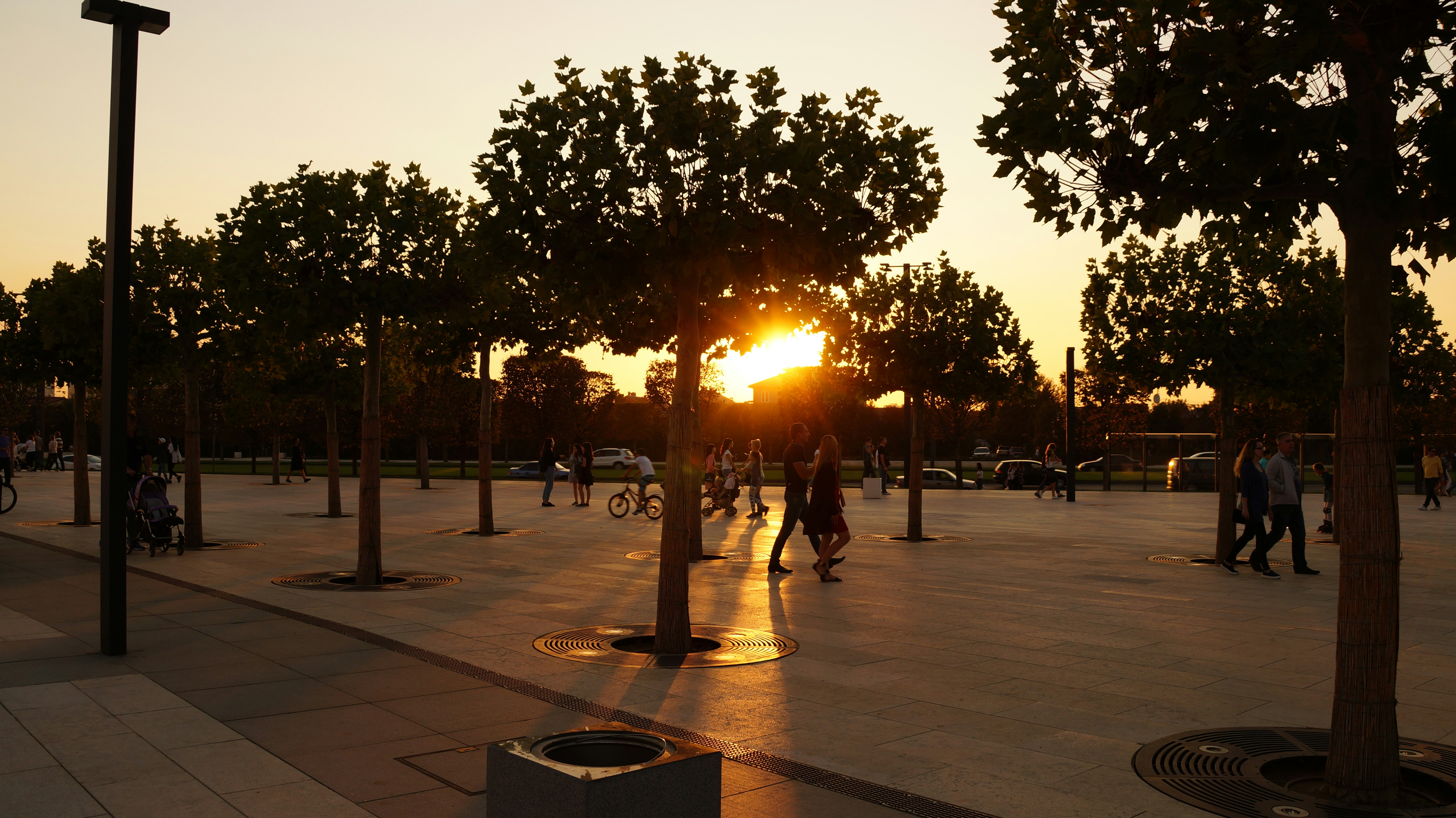 Sunlit Square: People, Trees, and a Low Horizon