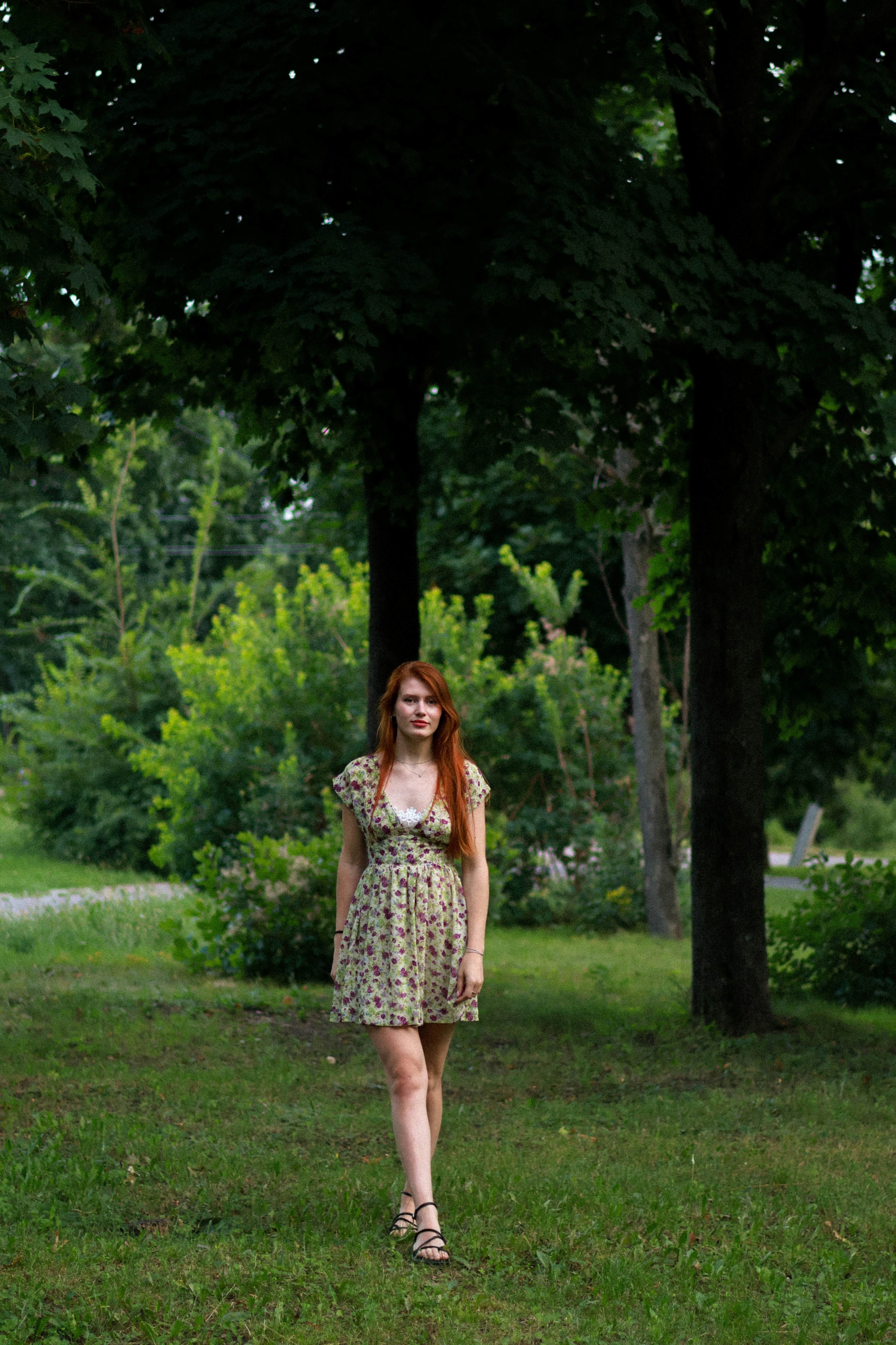 Ginger Woman Pictures | Download Free Images on Unsplash