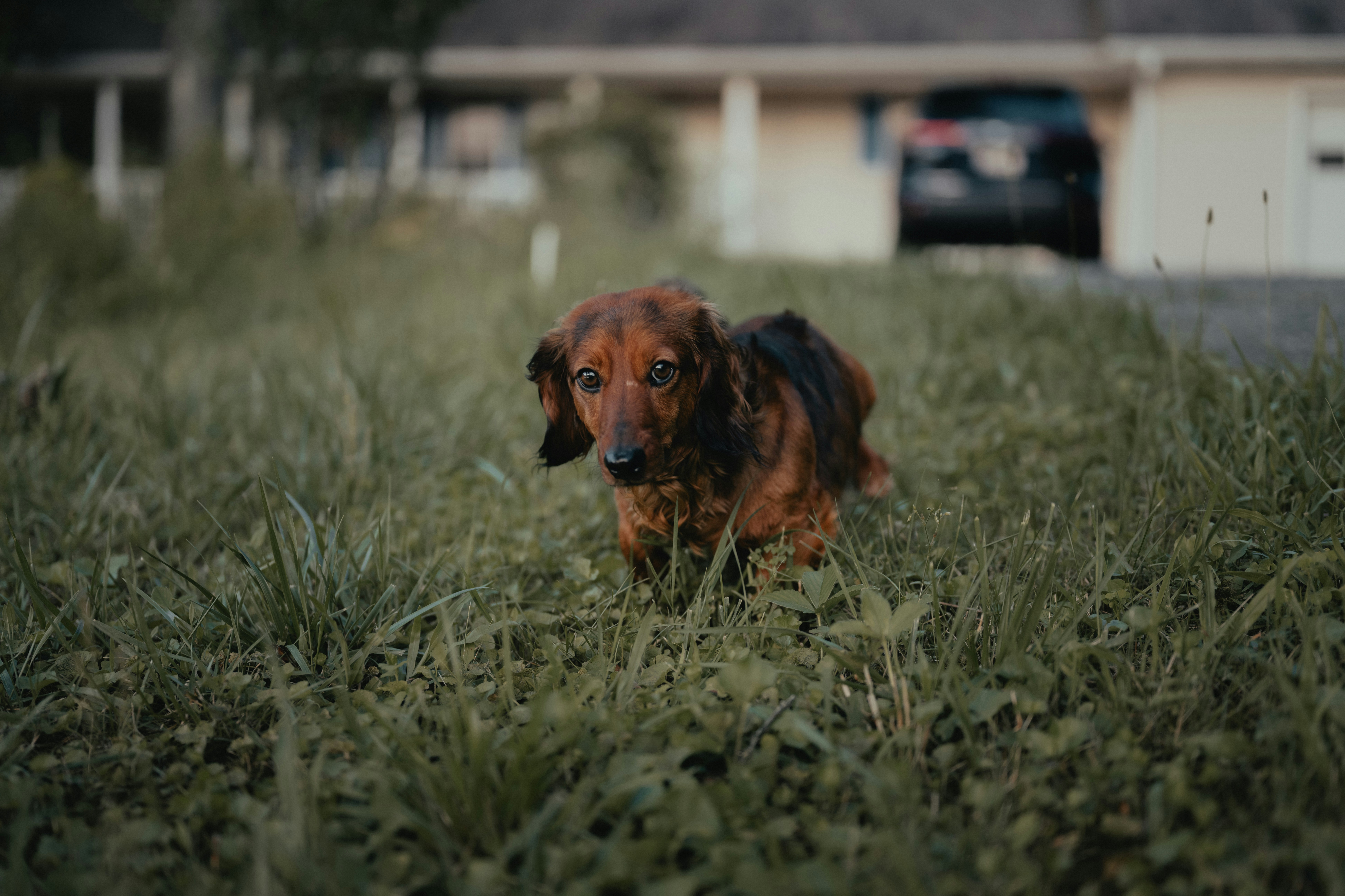 Photo by Tolga Ahmetler with Nikon Z7 II