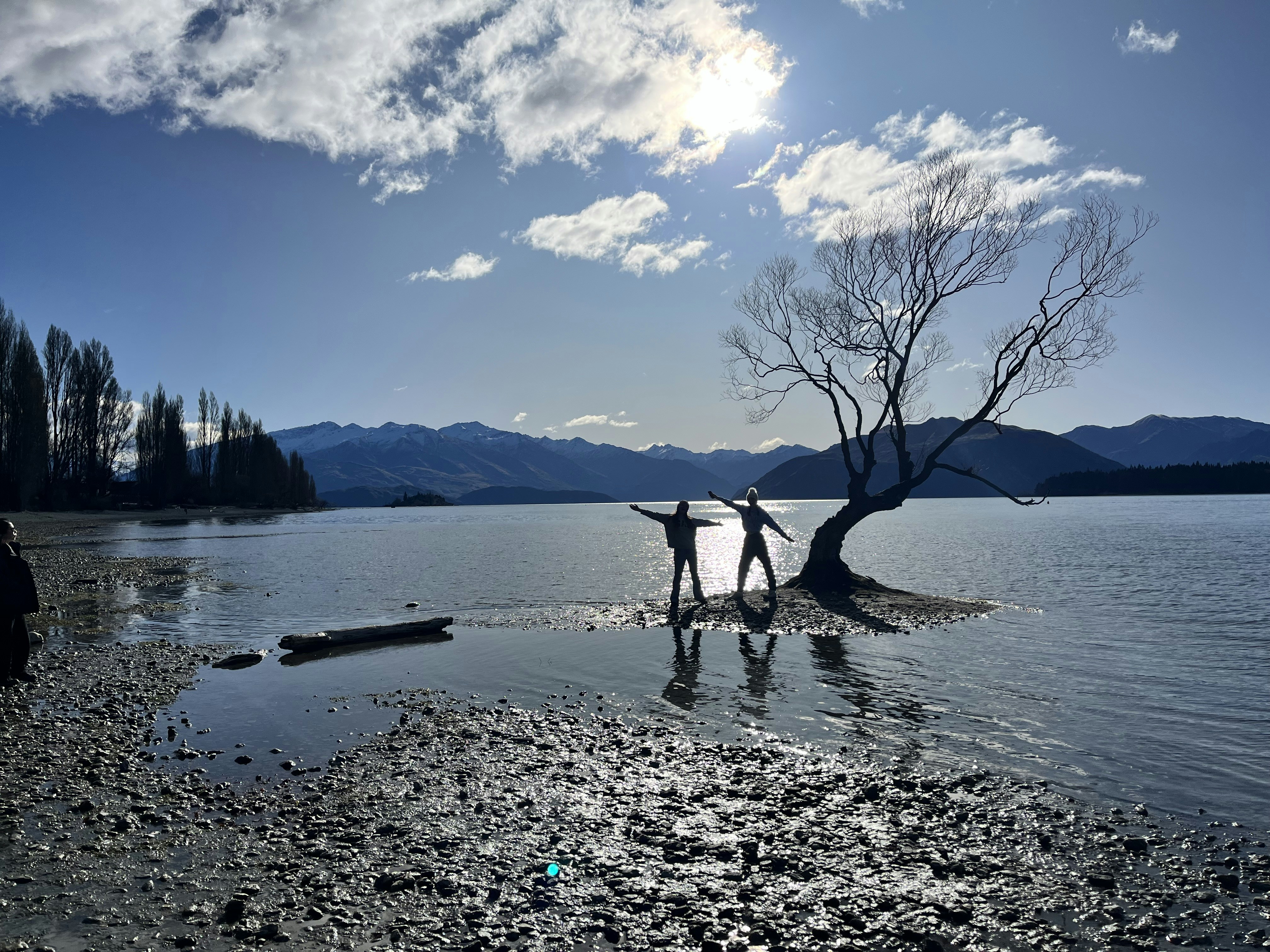 Duet on a Driftwood Islet: Silhouettes by a Glassy Lake