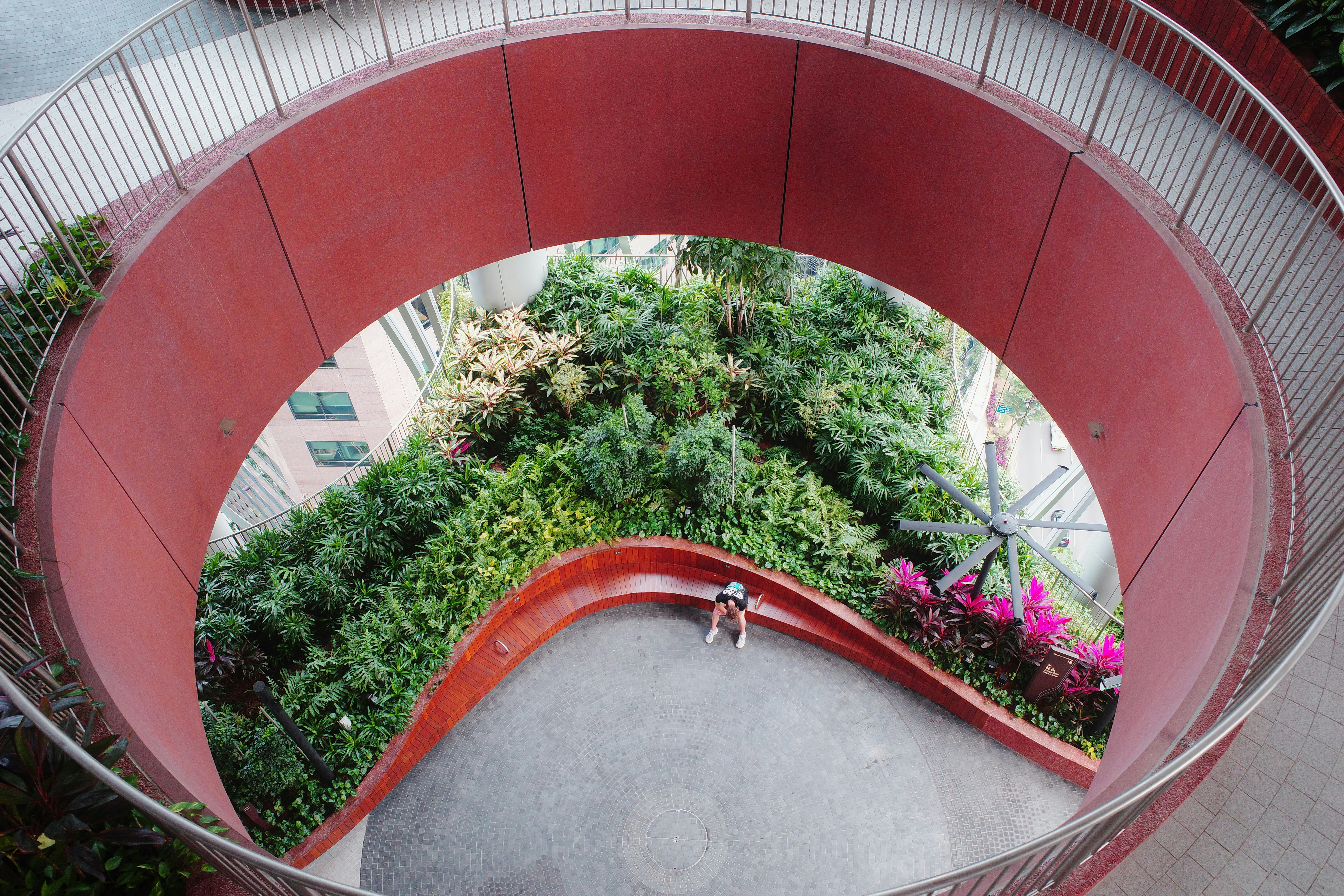 Crimson Helix Over the Courtyard: A Solitary Moment on the Circular Ramp
