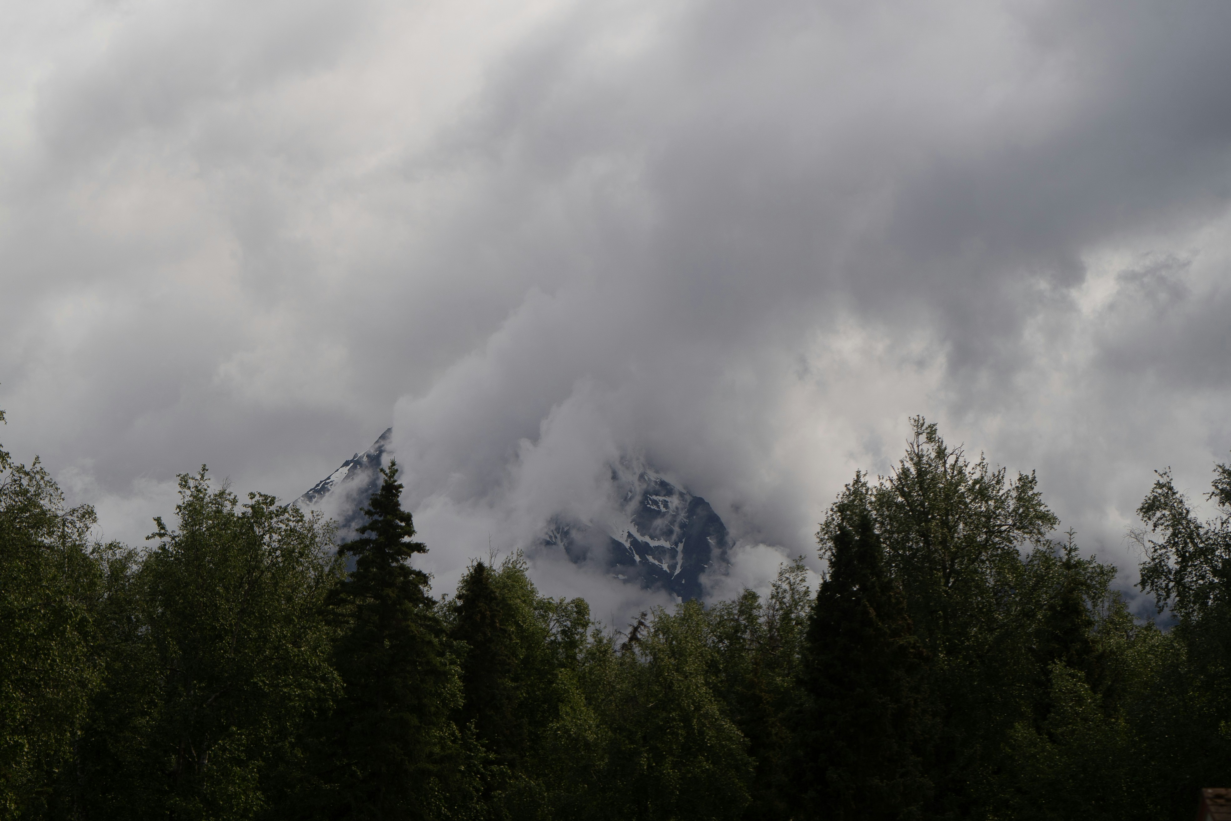 Whispers of the Mountains: A Veil of Clouds
