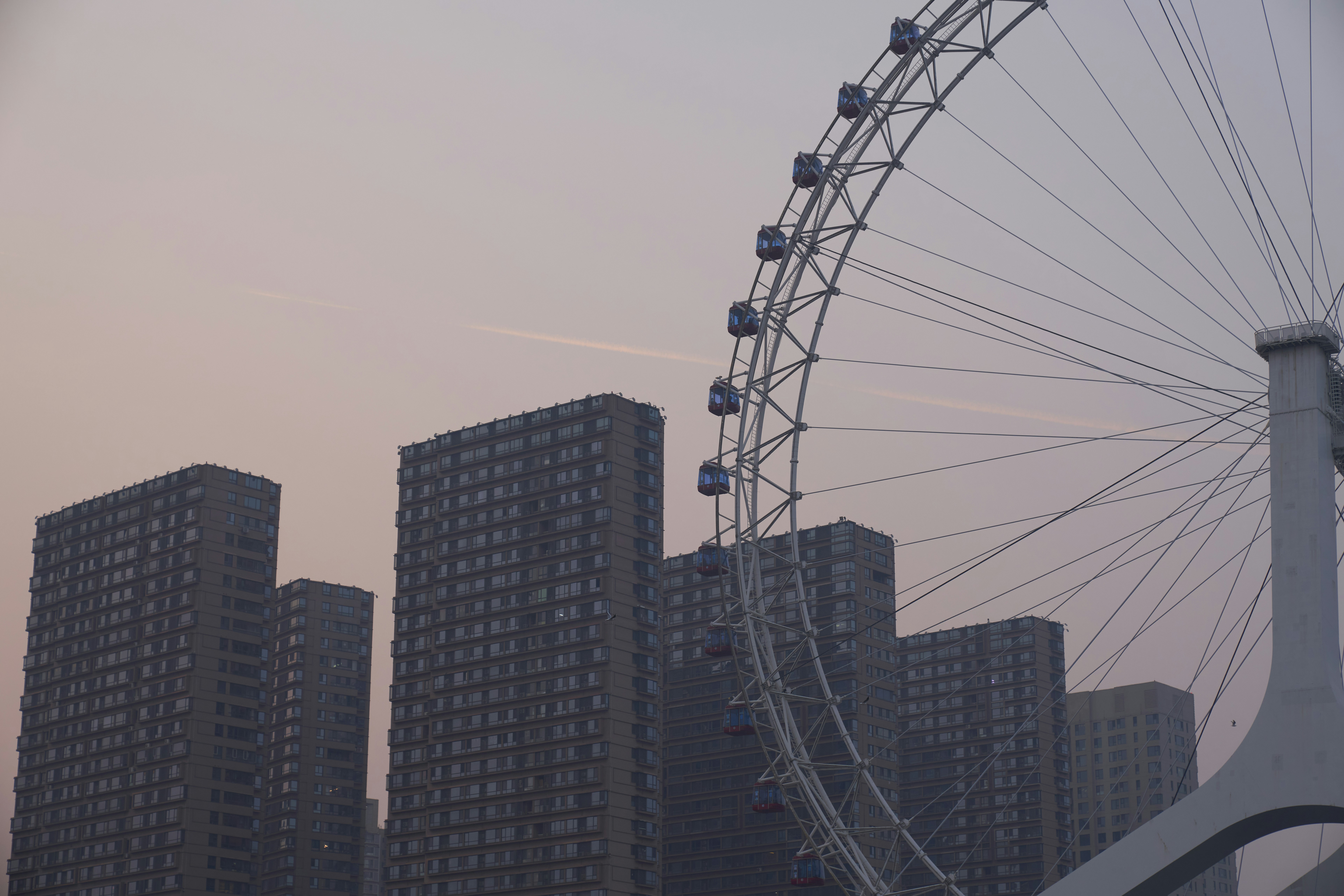 Photo by Maple Cloud with Sony Alpha 7R IIIA