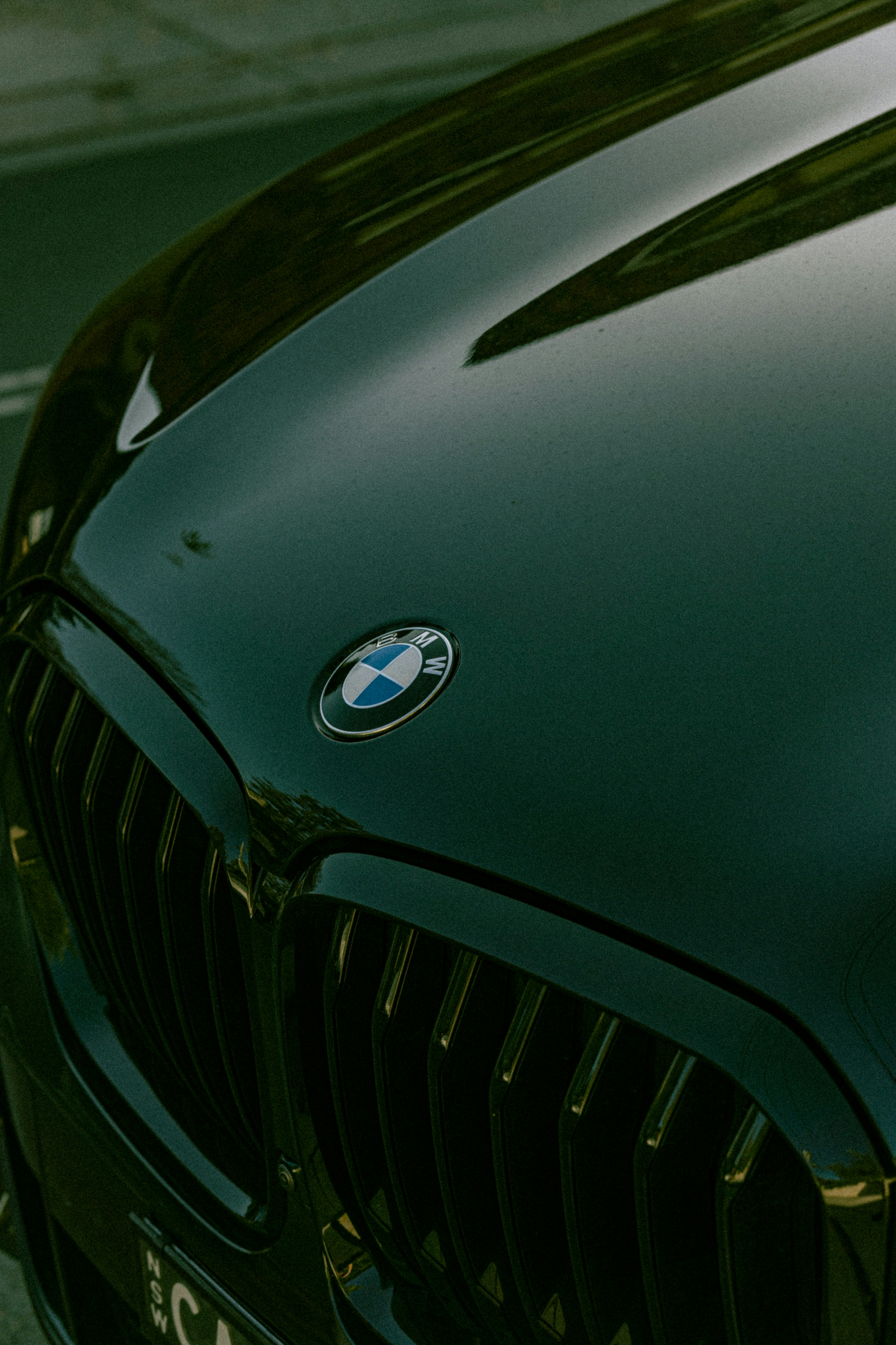 Emerald Hood Reflections: BMW Emblem Framed by the Grille