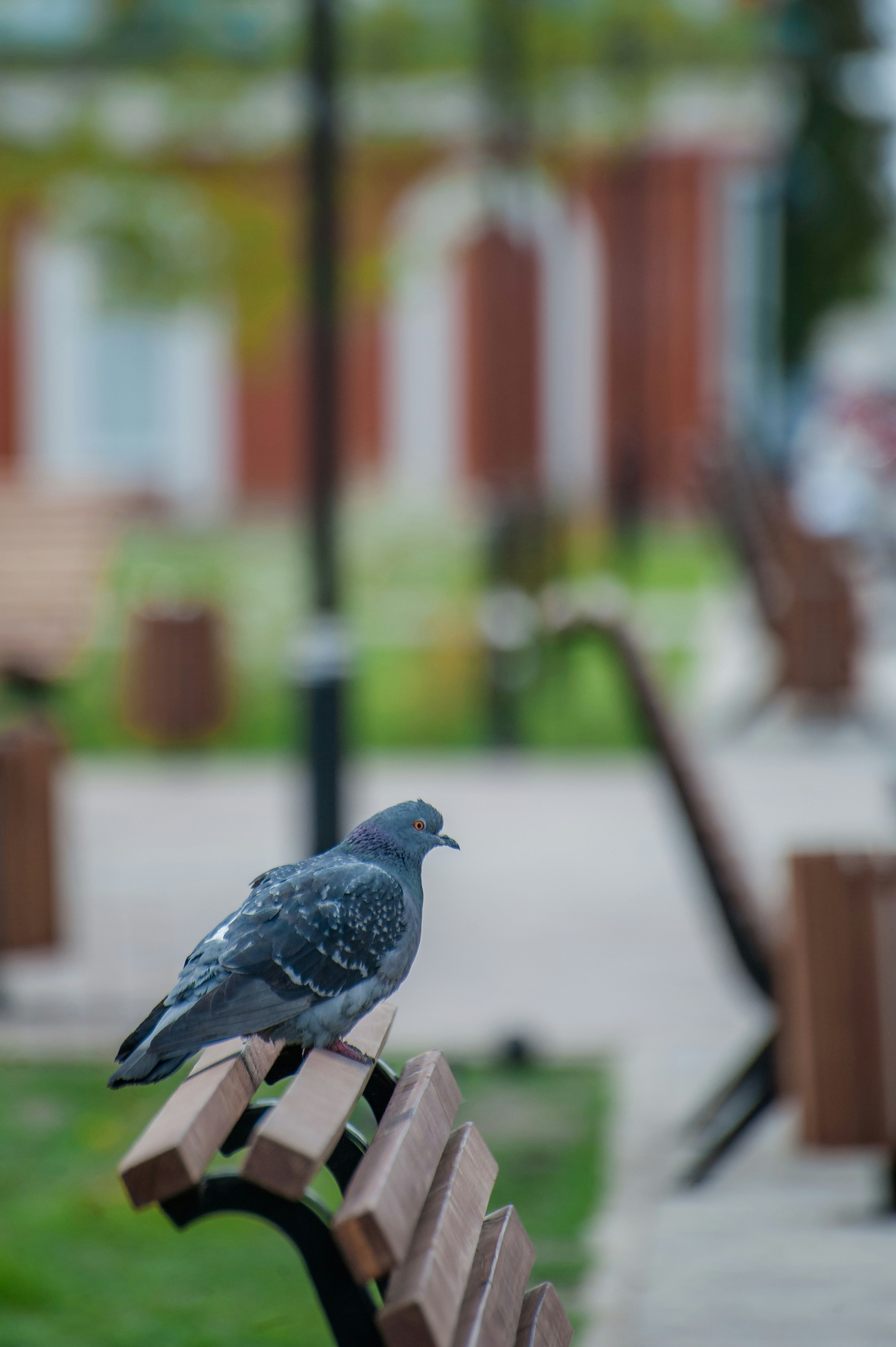 Photo by Lipetskaya Zemlya with Nikon D3