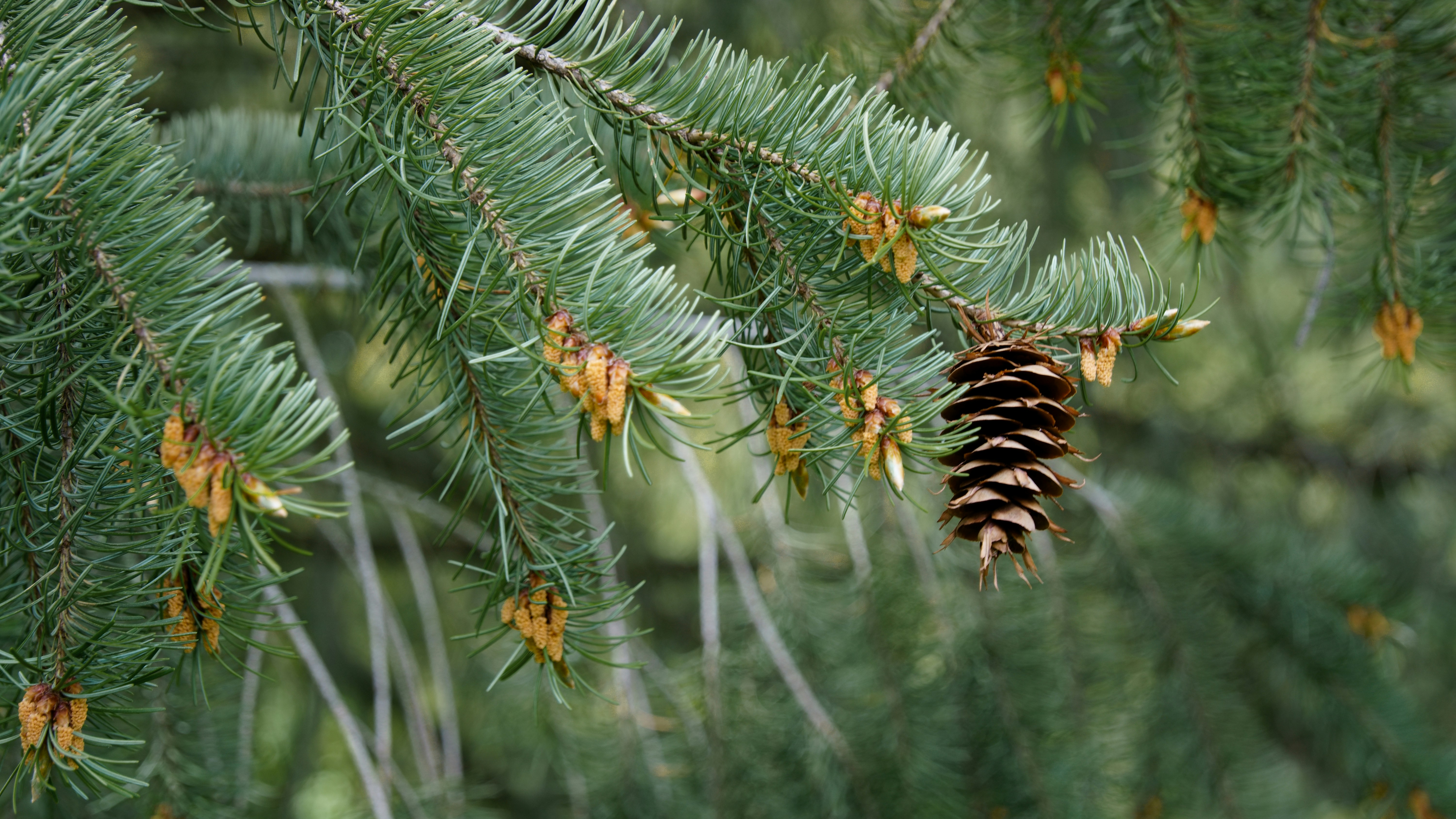 Photo by Lipetskaya Zemlya with Sony Alpha 6100