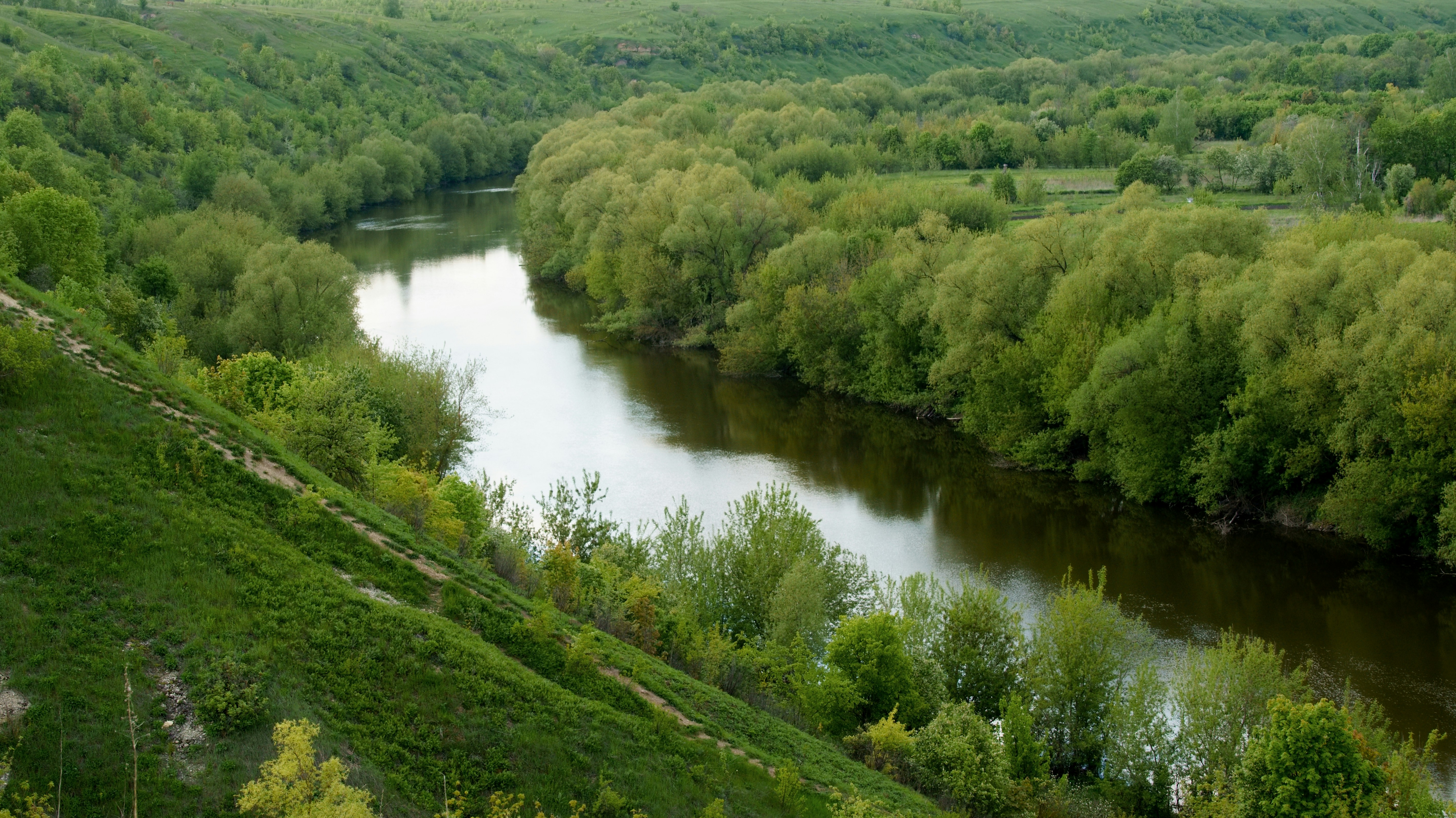Verdant Bend: River Winding Through a Quiet Green Valley