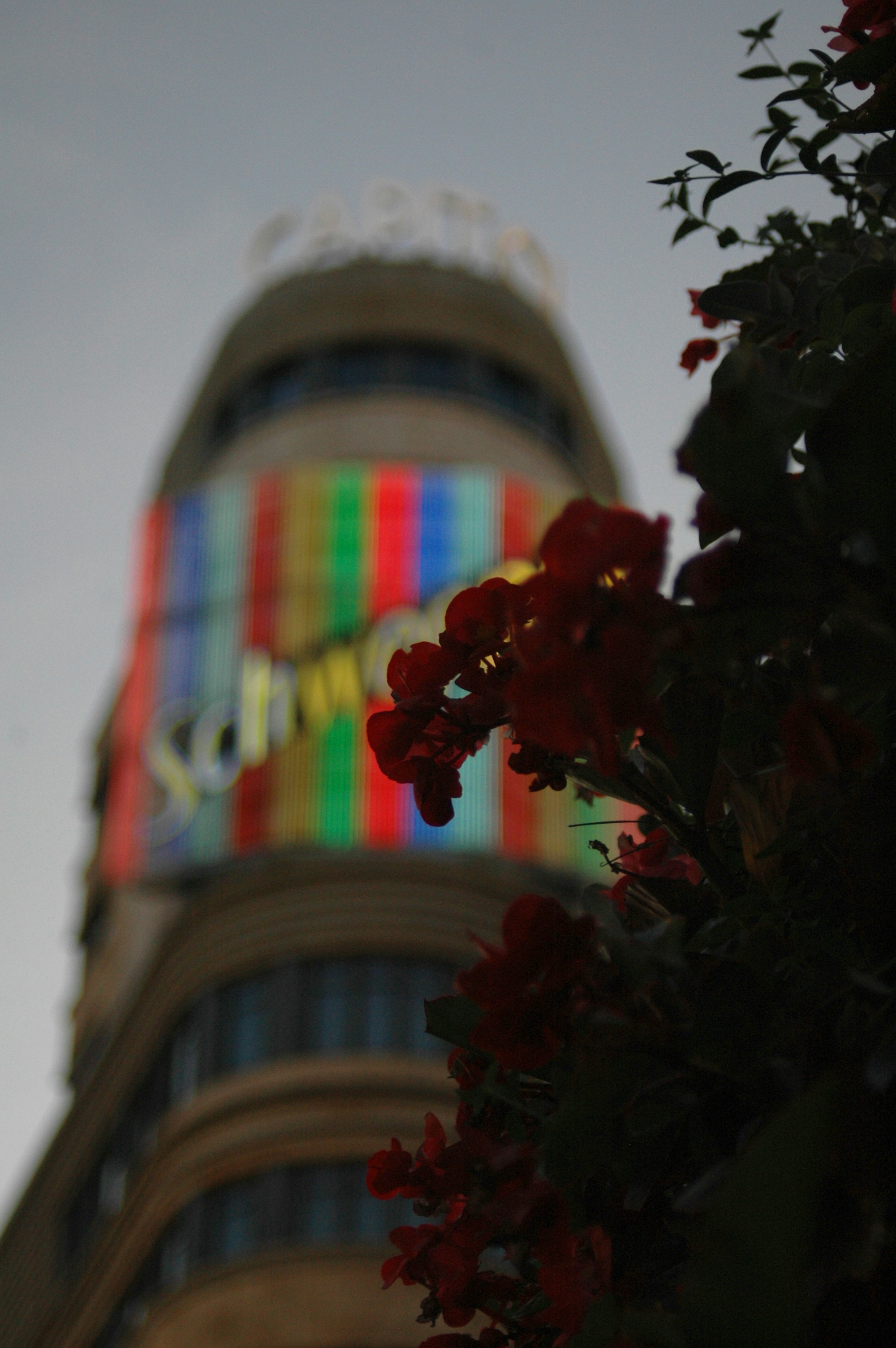 Chromatic Tower Framed by Crimson Bloom