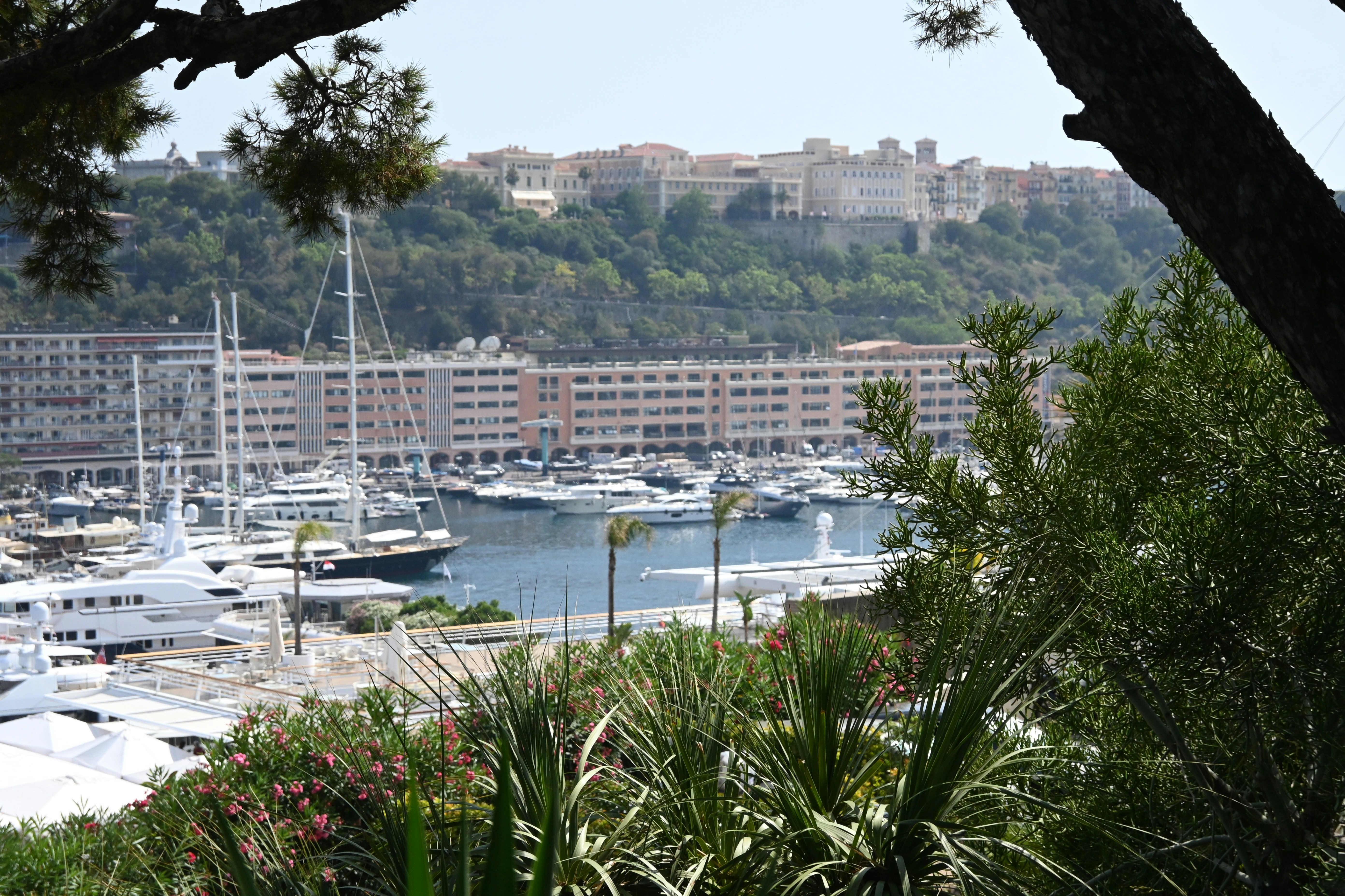 Emma HONG (@emmawind) | Unsplash Photo Community