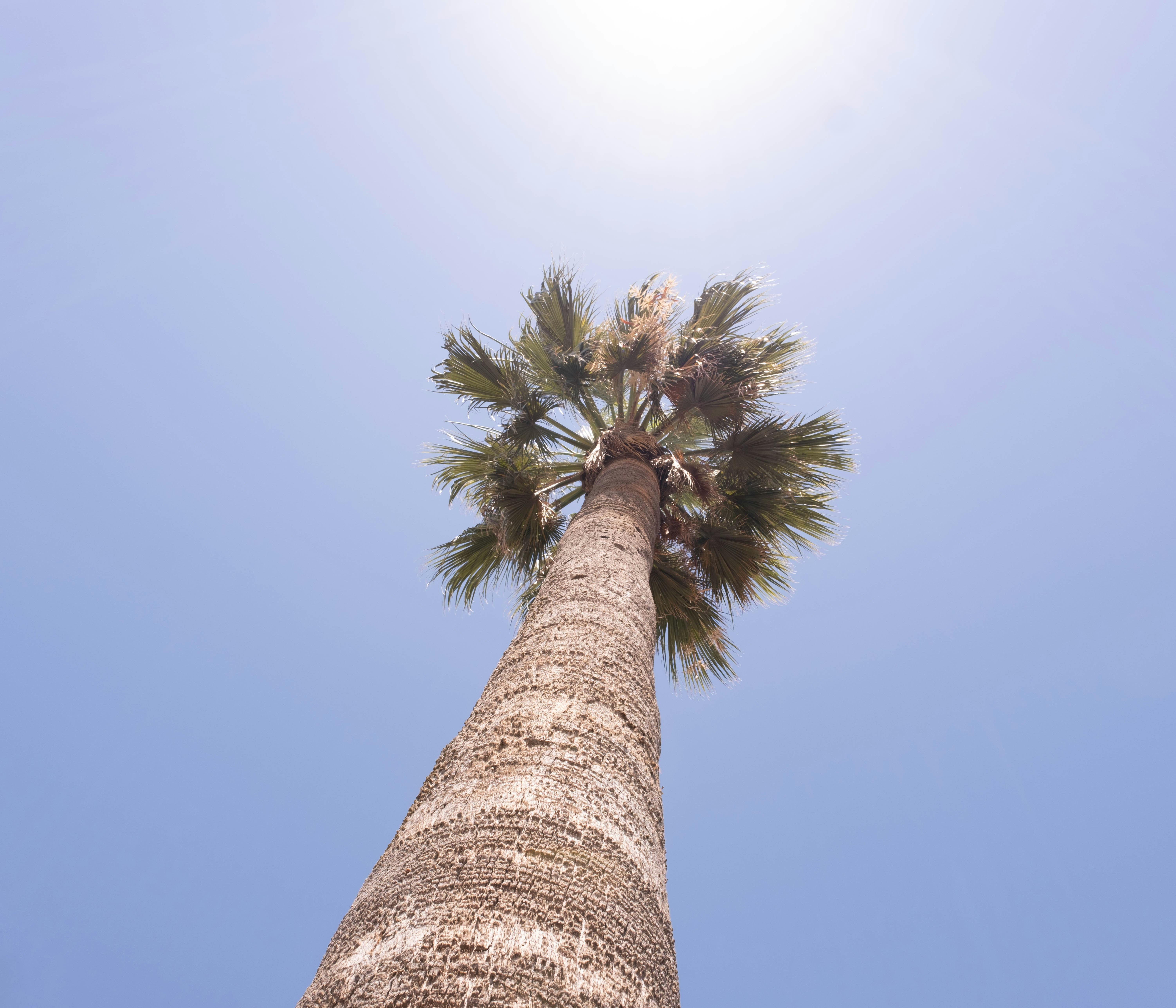 Photo by Jacob Padilla with Fujifilm X-T5