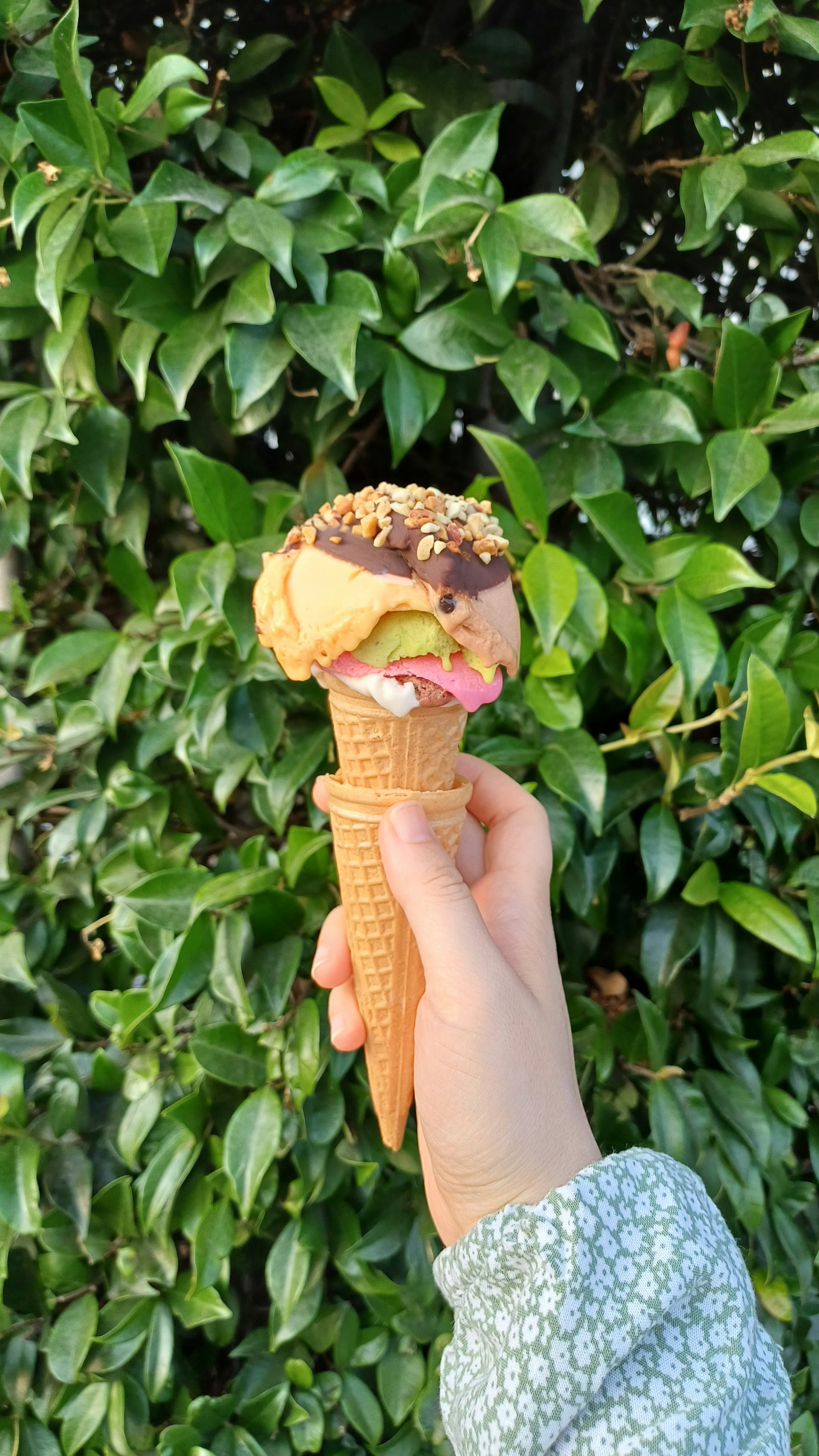 Hand holds a multi-scoop ice cream cone topped with chocolate and chopped nuts. A lush hedge serves as a vibrant, leafy backdrop.