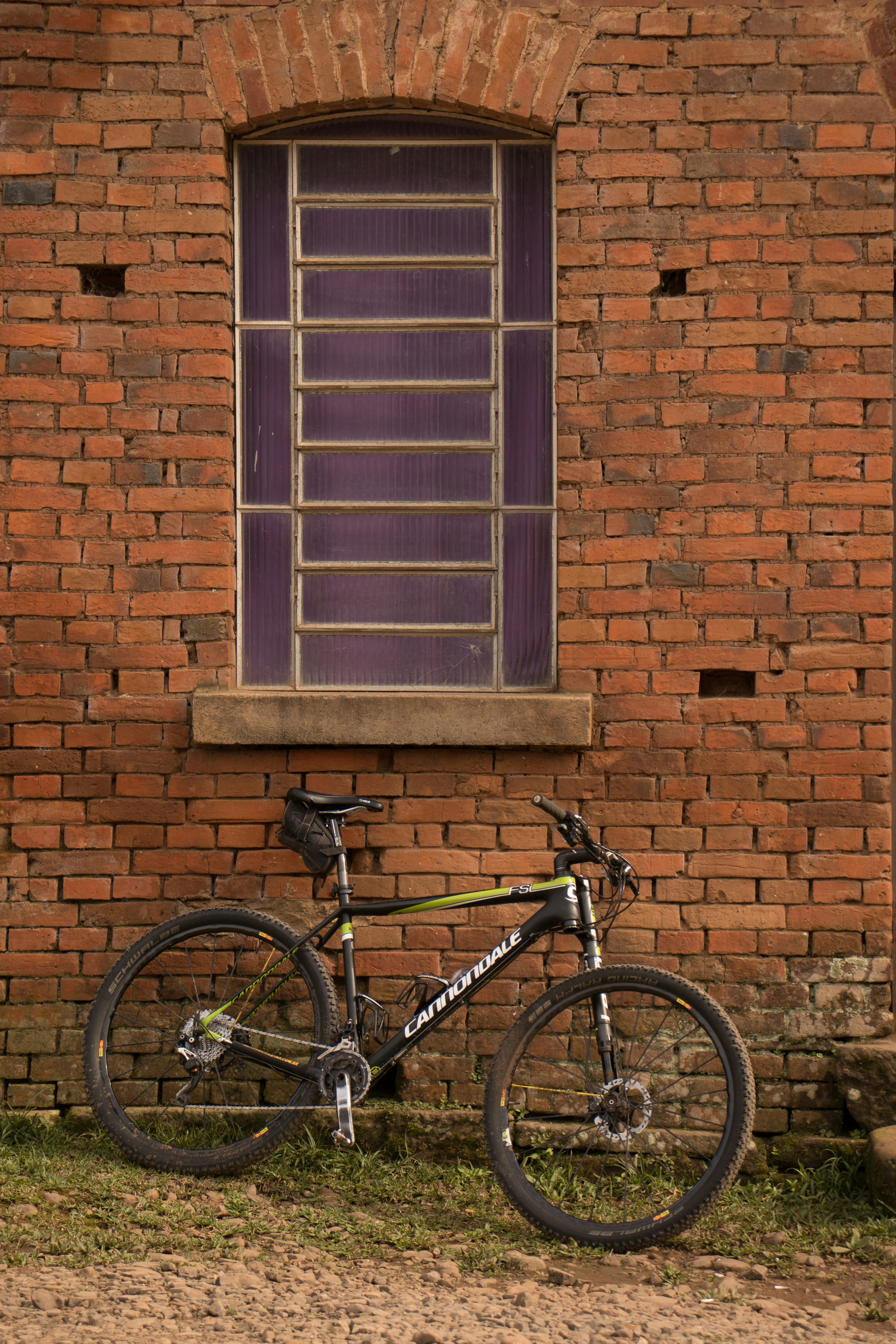 Rustic Brick Wall, Purple Window, and a Bold Mountain Bike