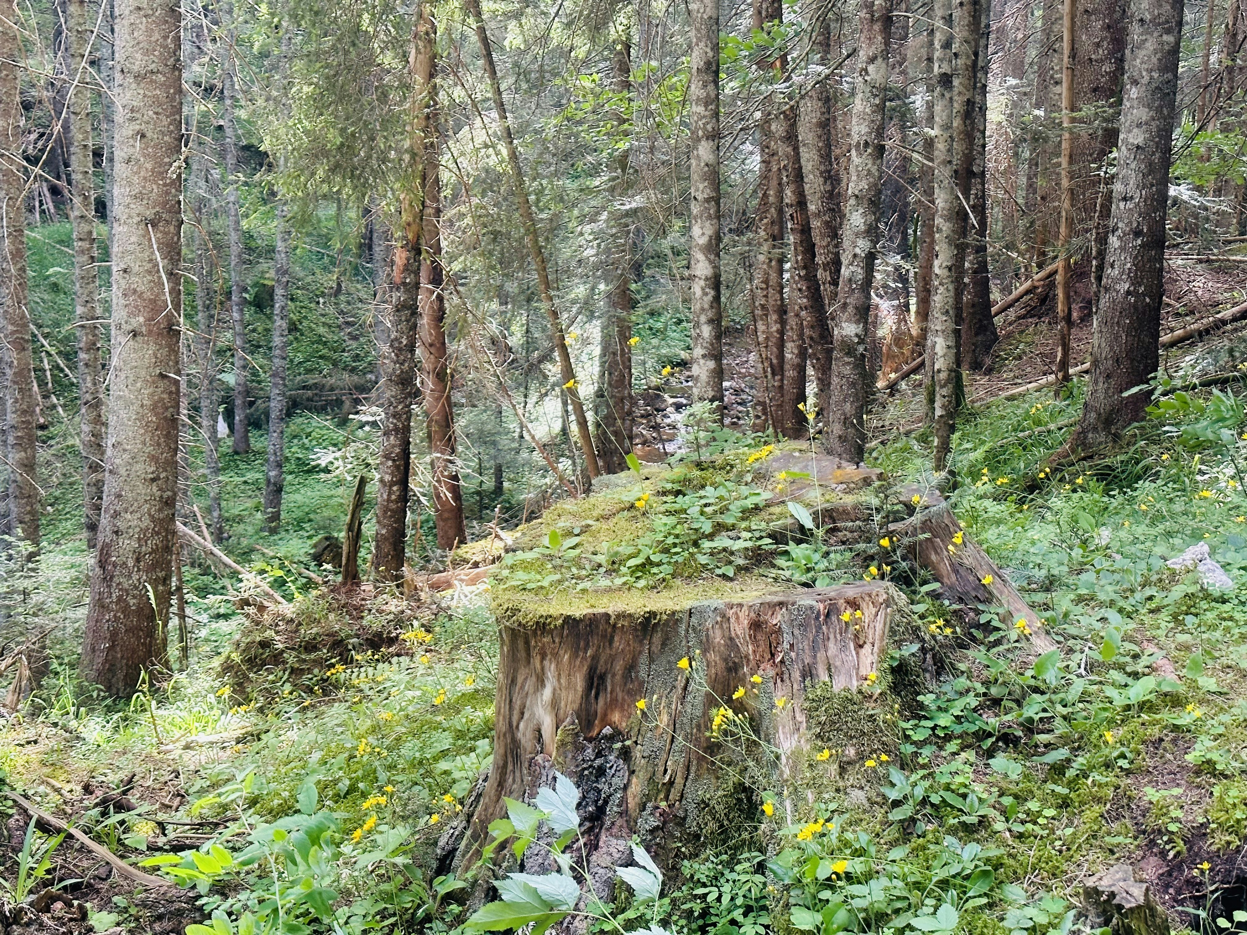 World of Magic (@worldofmagic) | Communauté photos Unsplash