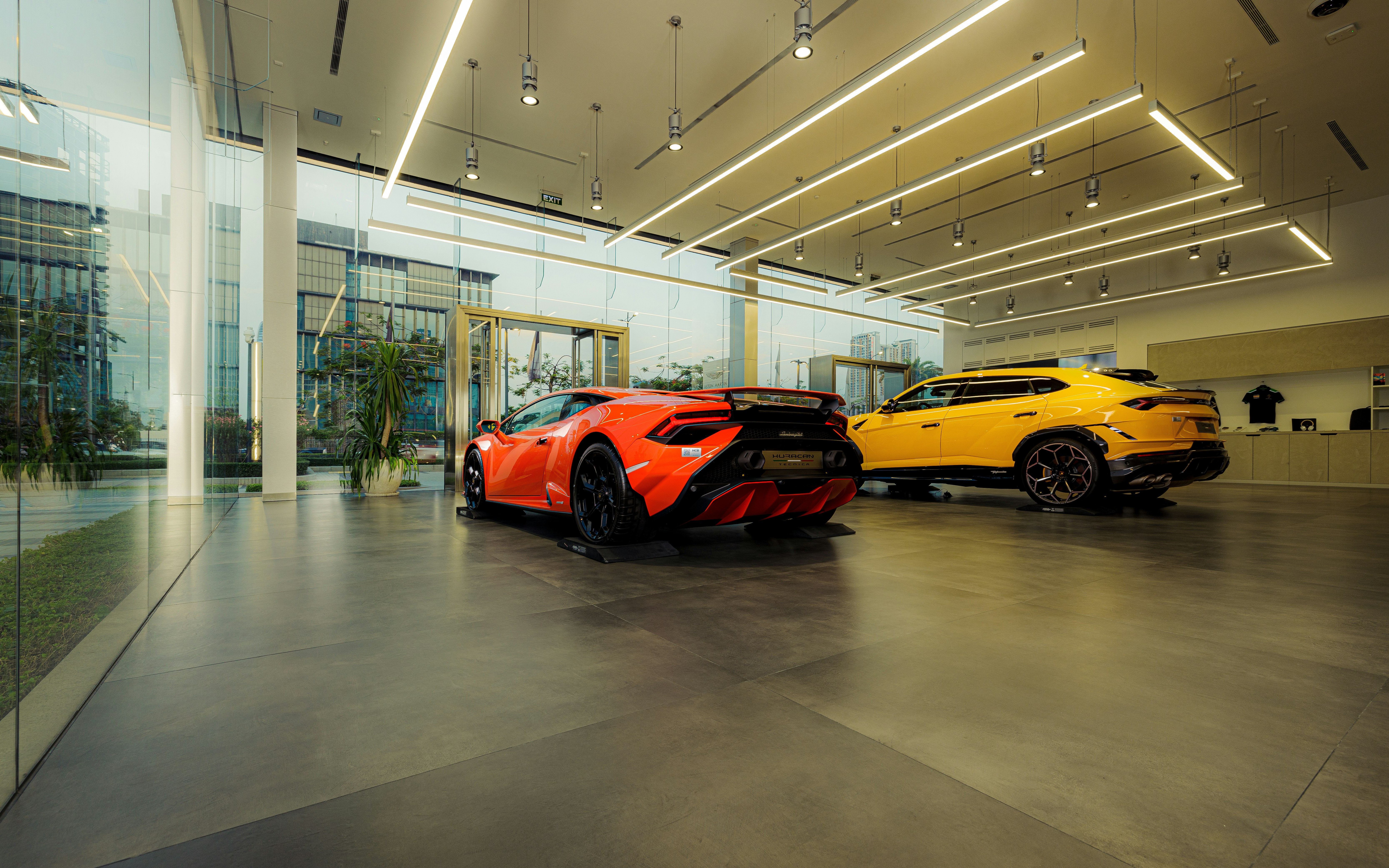 A couple of cars parked inside of a building photo – Free Lamborghini ...