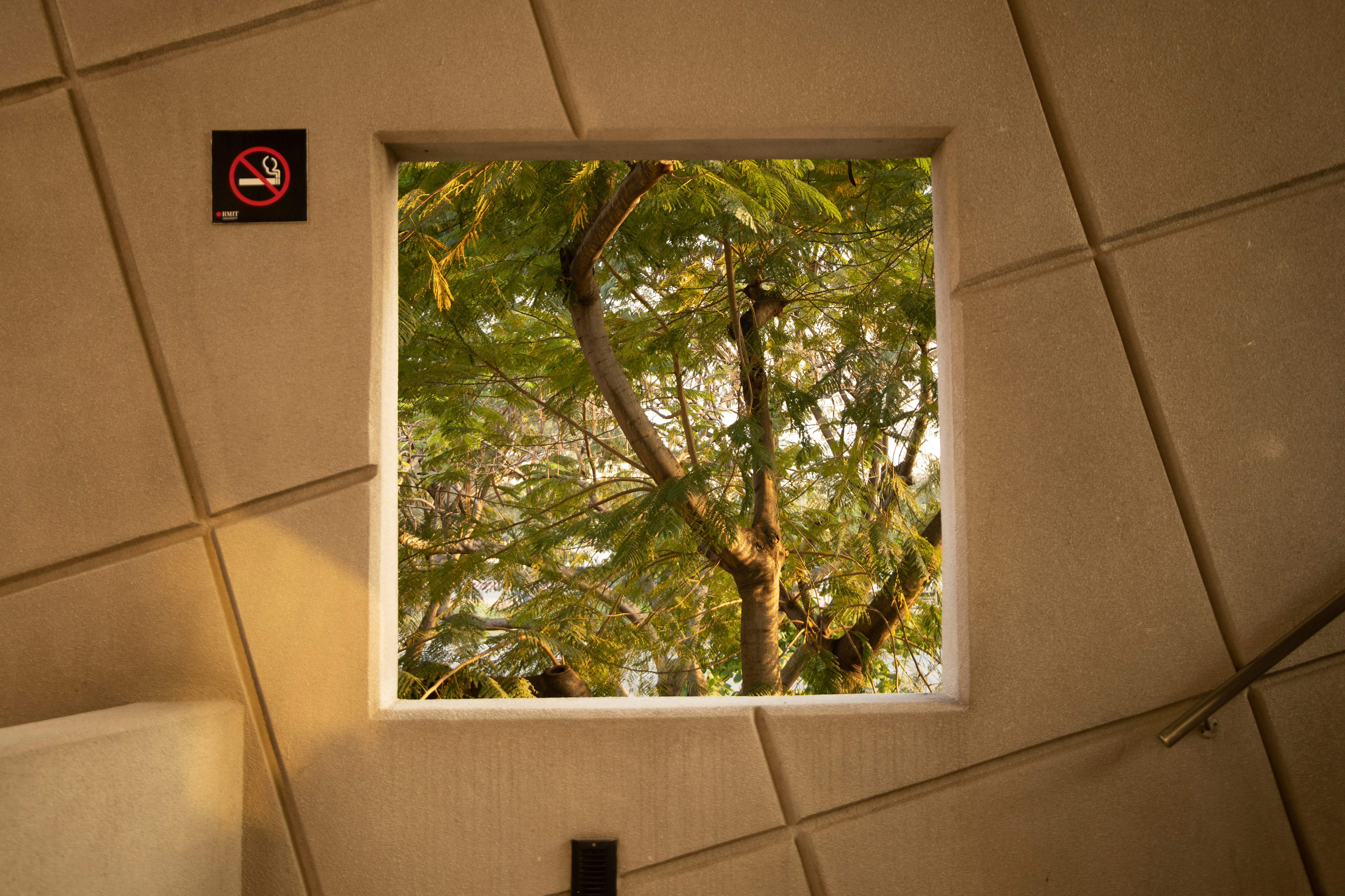 Photo by Huong Do with Canon EOS RP