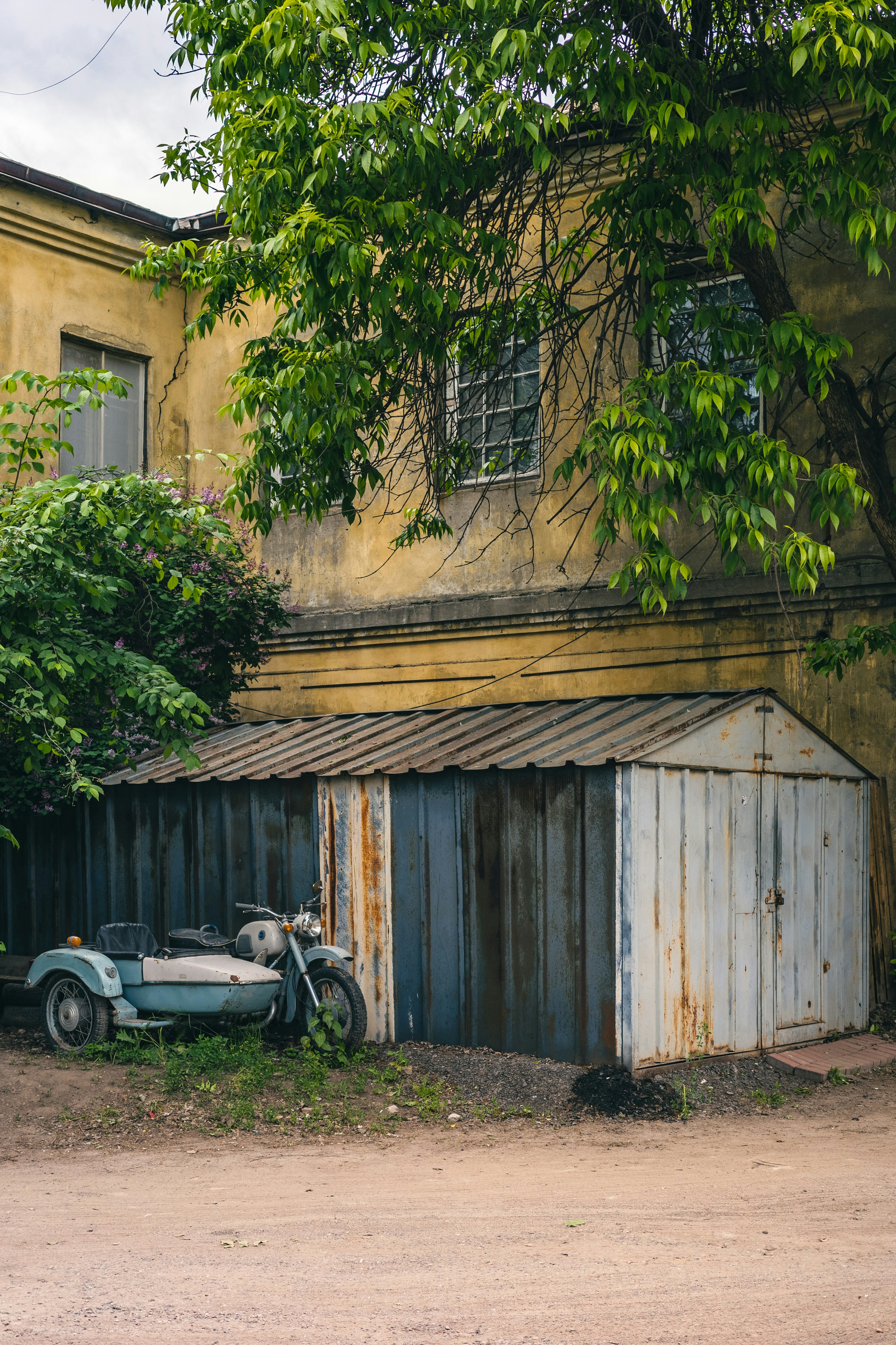 Verdant Canopy, Rusted Shed, and a Vintage Sidecar: Quiet Street Scene
