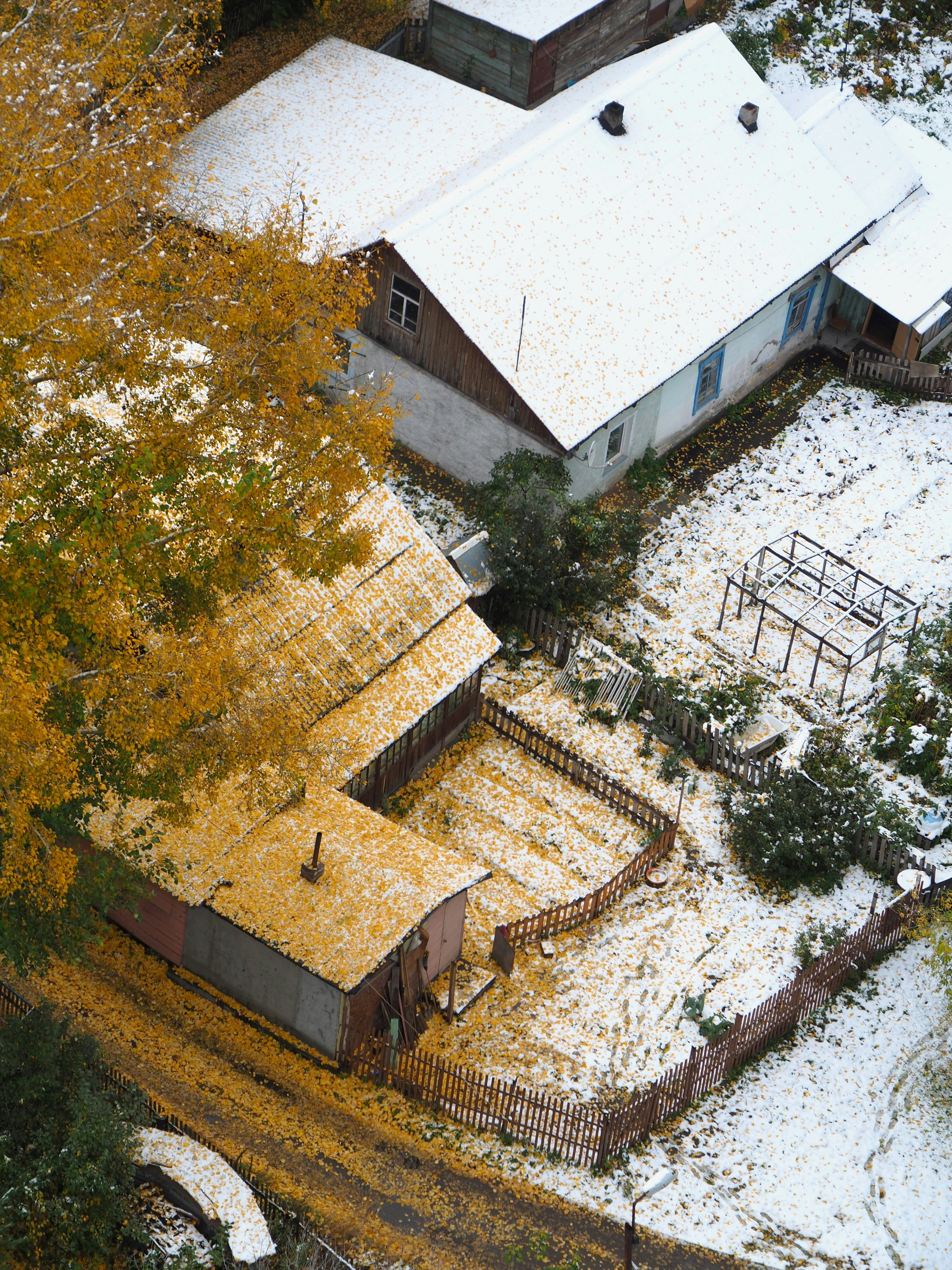 Golden Canopy Over Snow-Dusted Village Courtyard