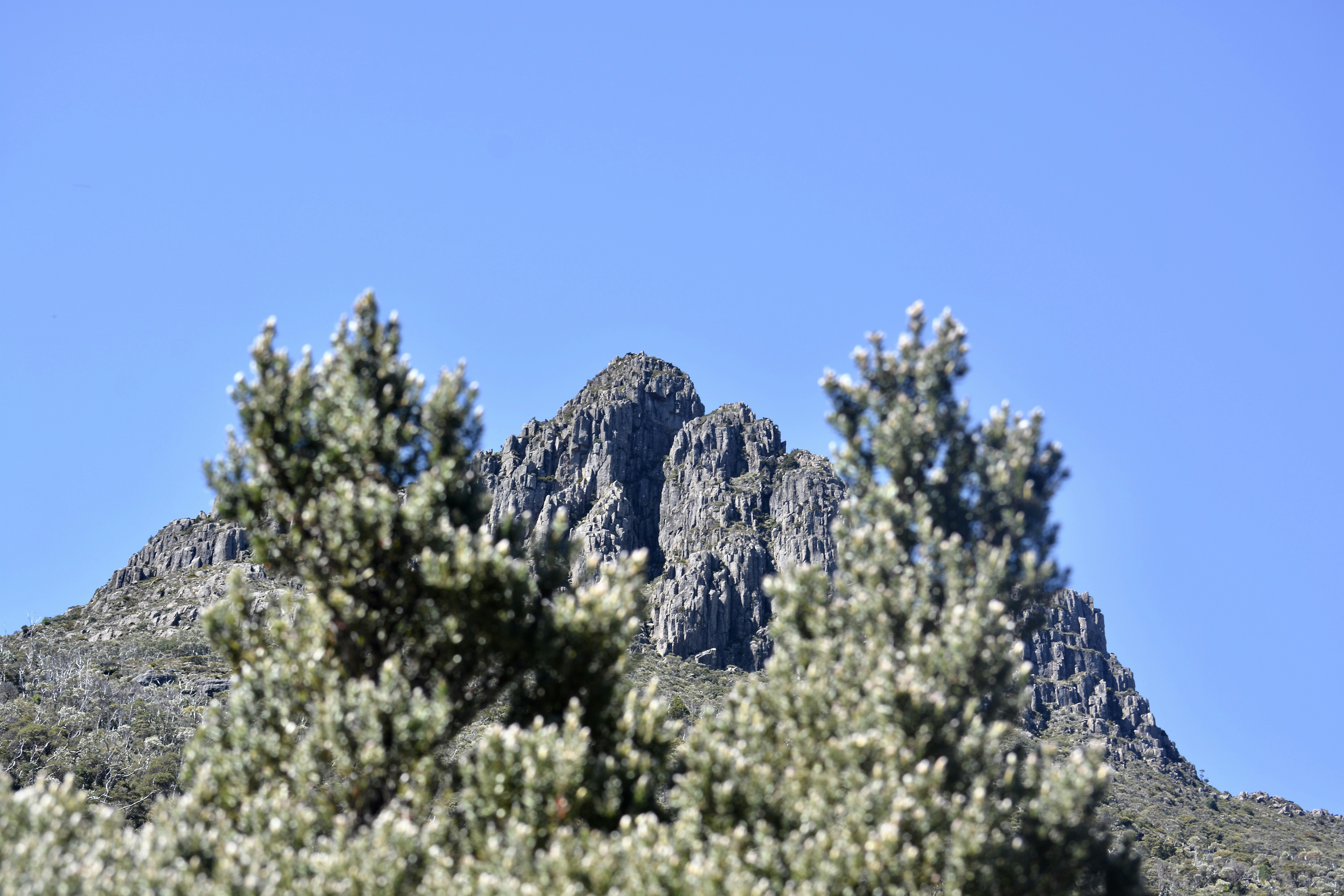 Jagged mountain peaks rise majestically above a foreground of soft, green foliage. The scene conveys a sense of tranquility and natural beauty.