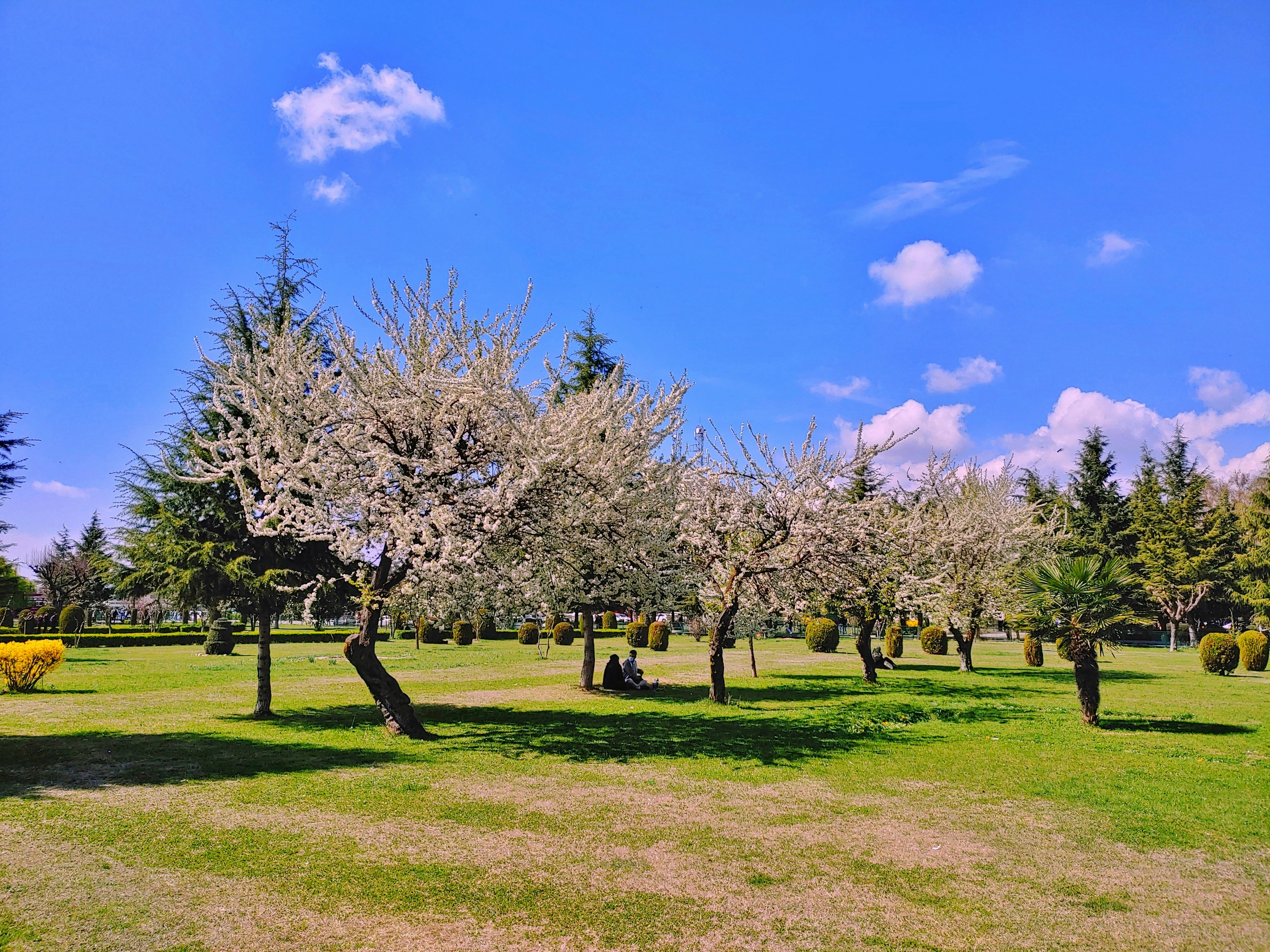 Beautiful bright sunny day, Srinagar, India