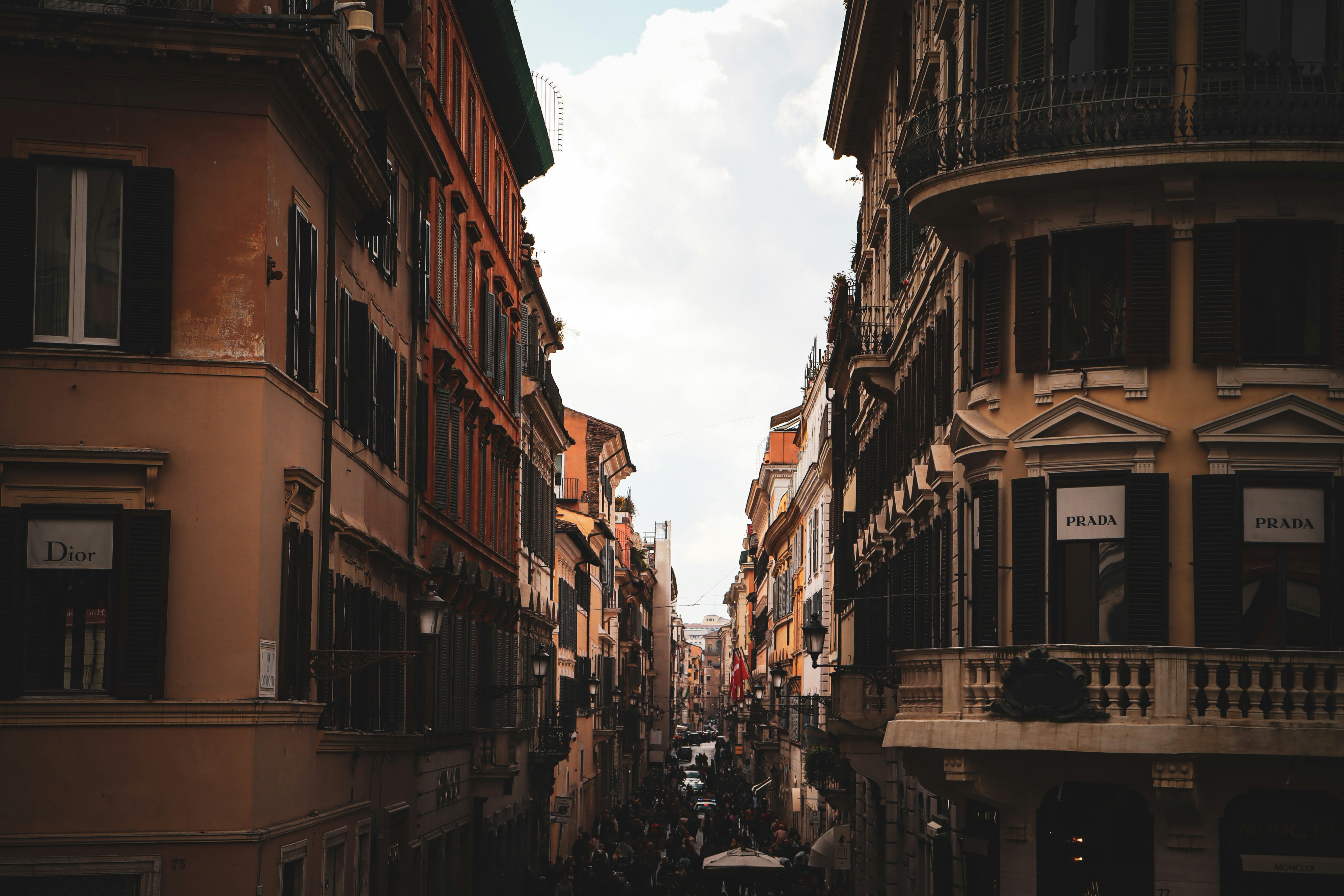 Photo by Amy Bishop with Canon EOS 250D