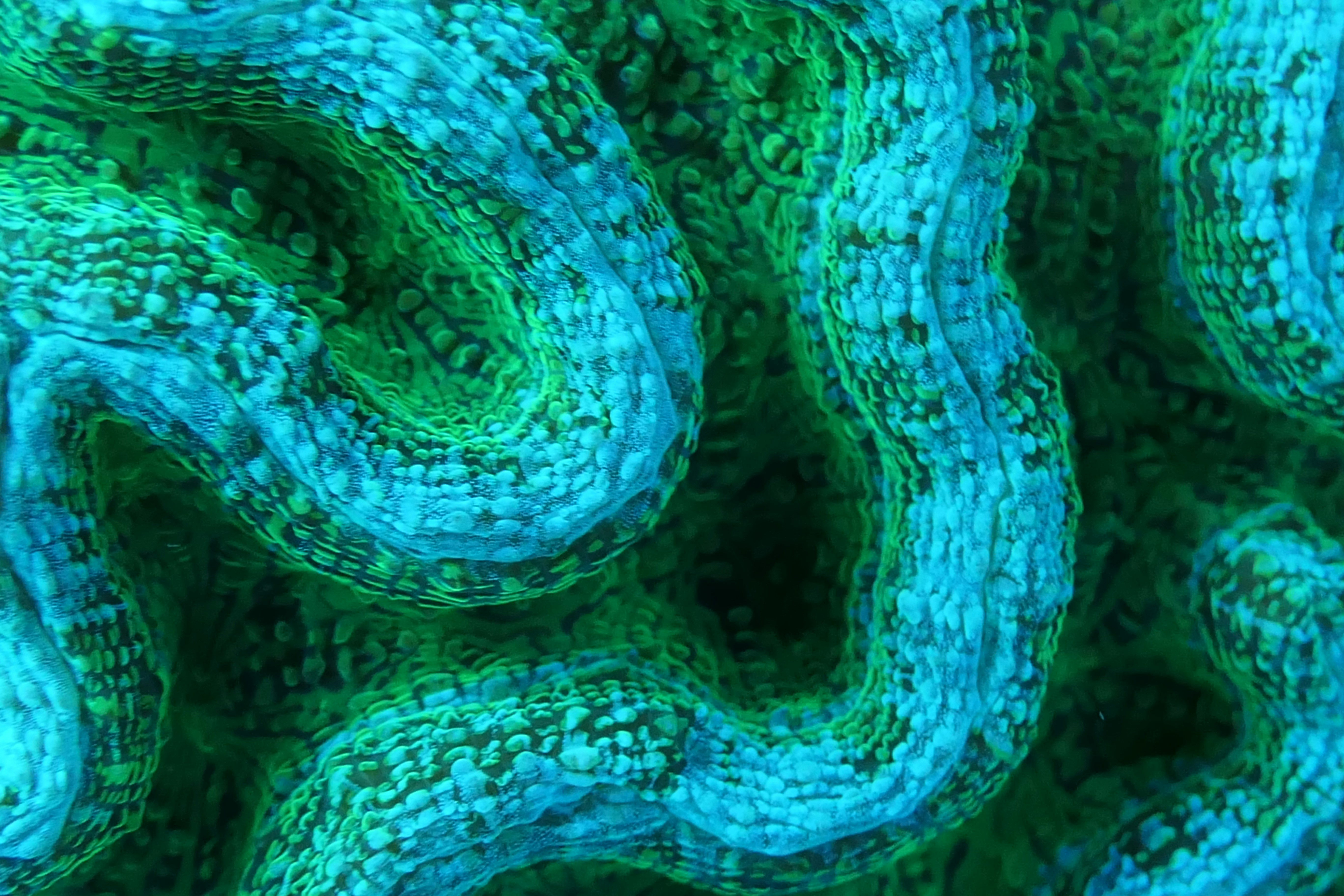 Mastering Scikit-Bio for Biomedical Data