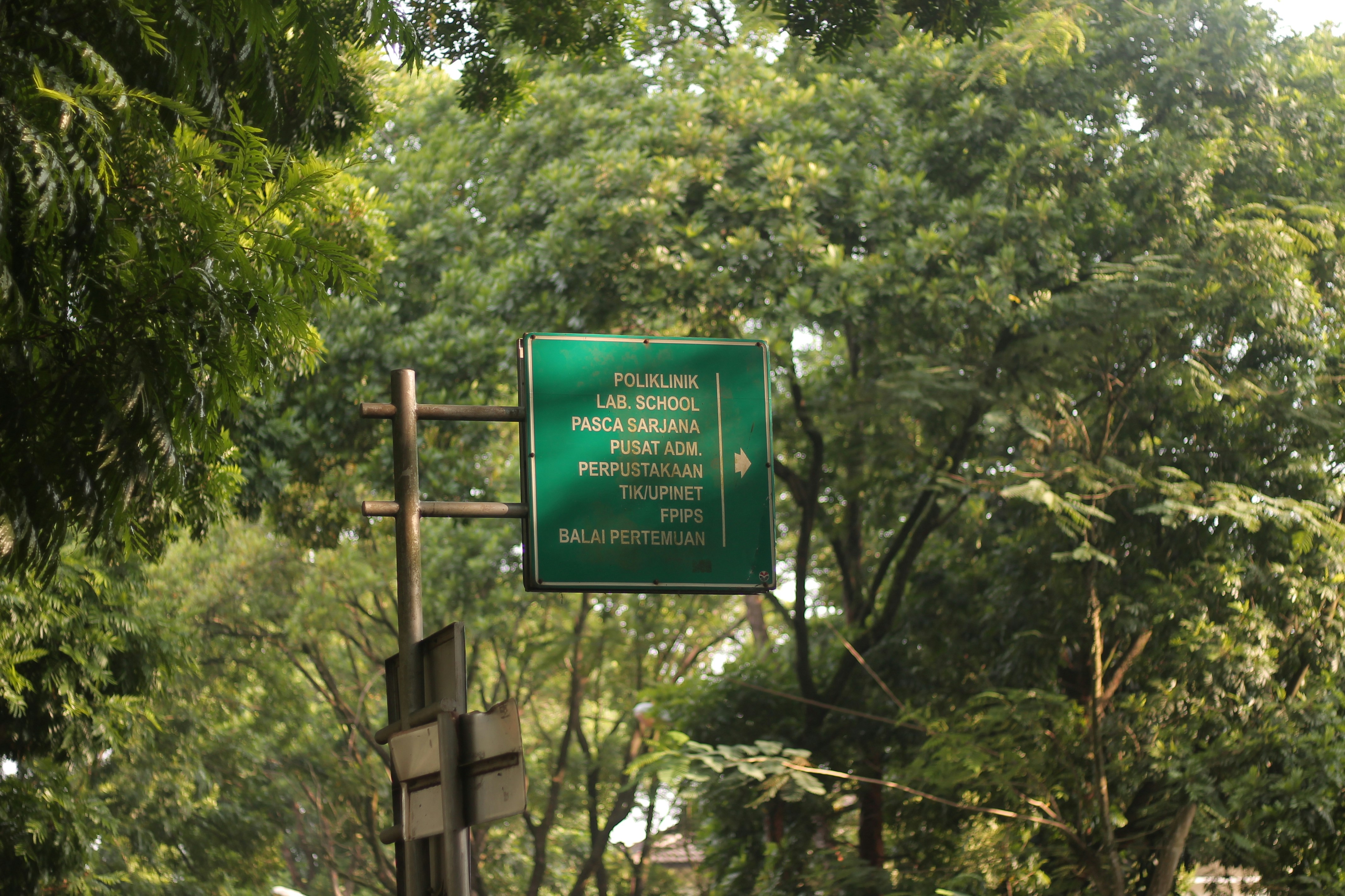 A green street sign hanging from the side of a metal pole photo – Free ...