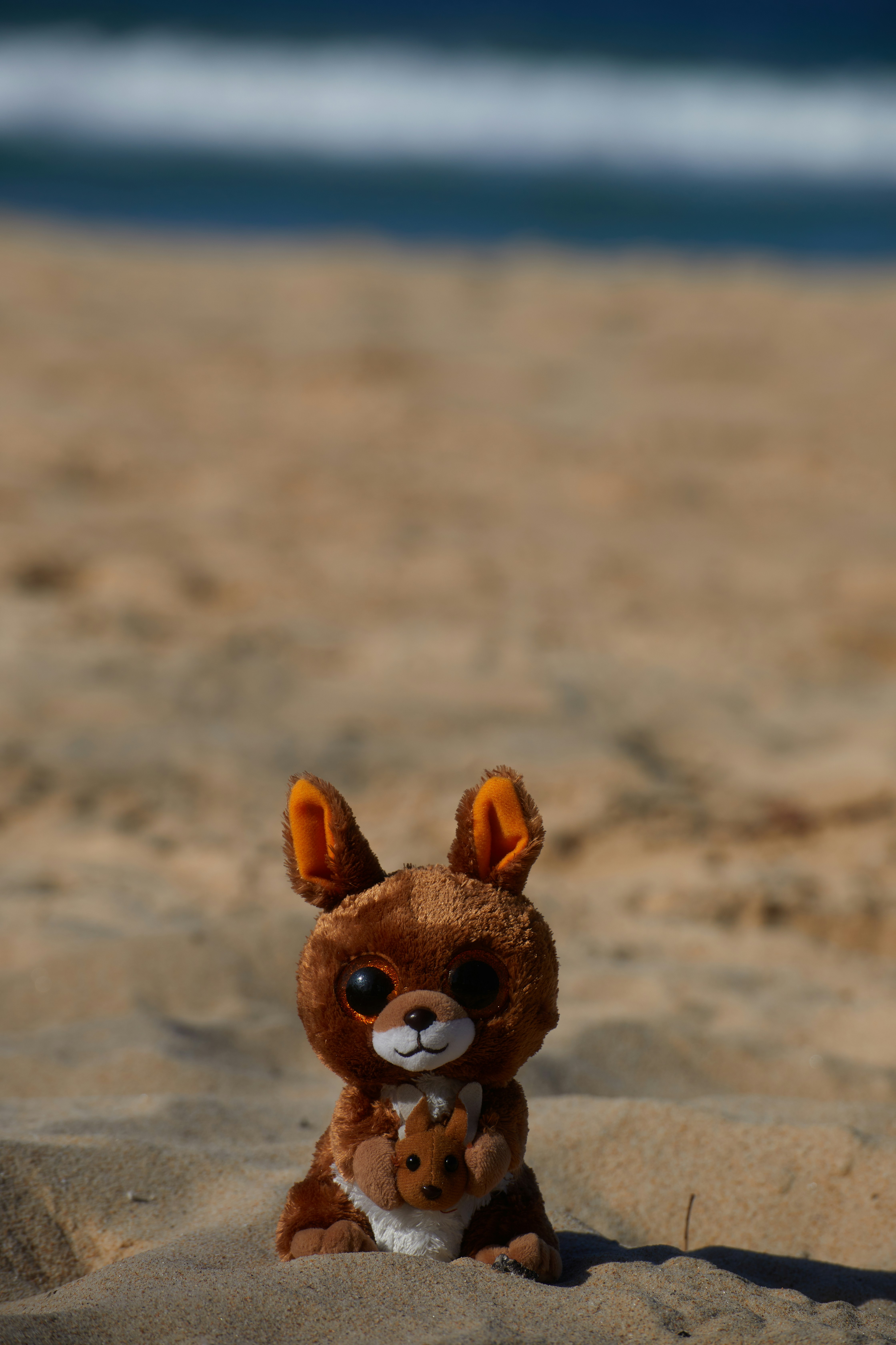 Plush kangaroo at a beach