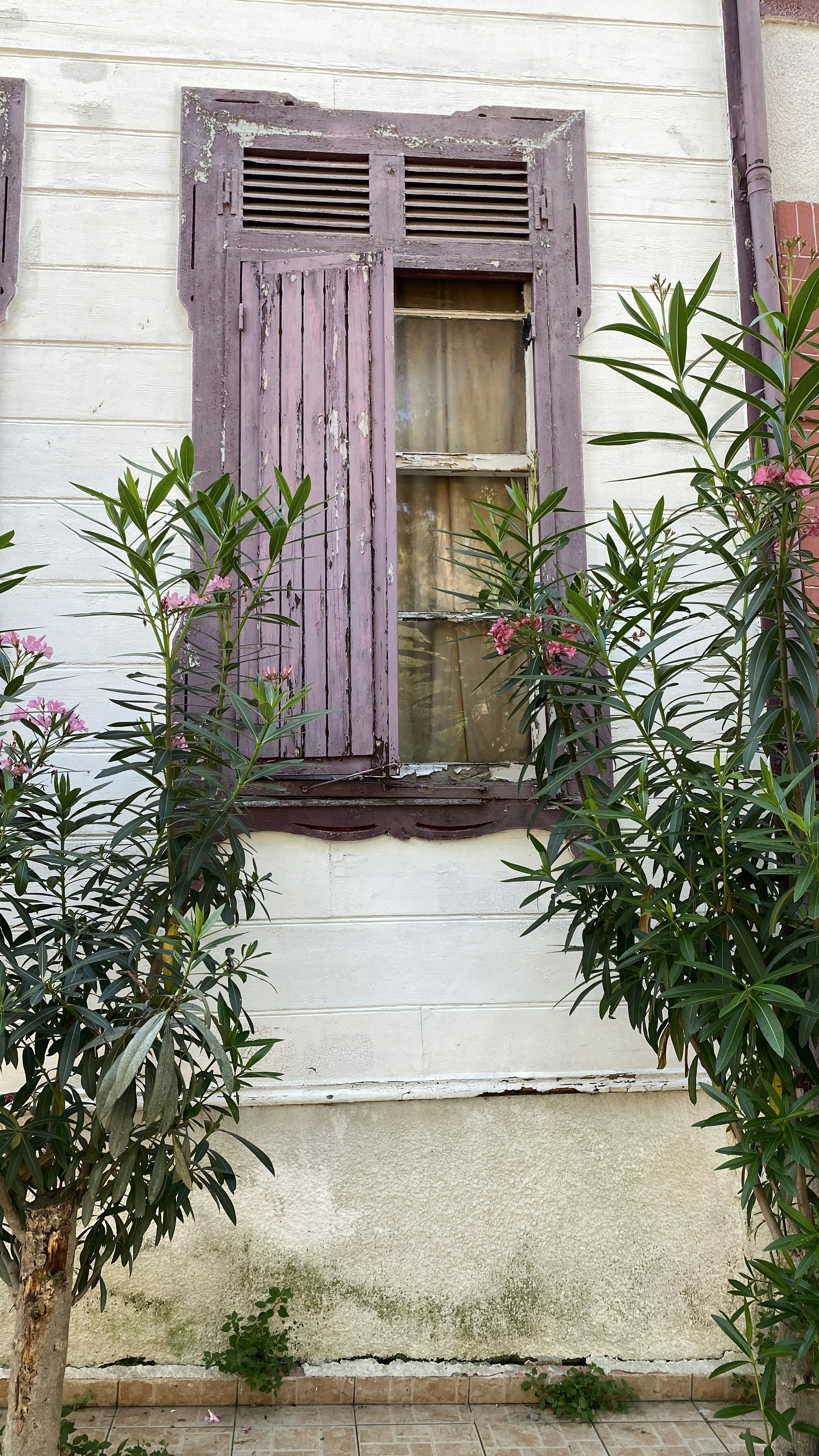 A white house with a purple window and wooden shutters photo – Free ...