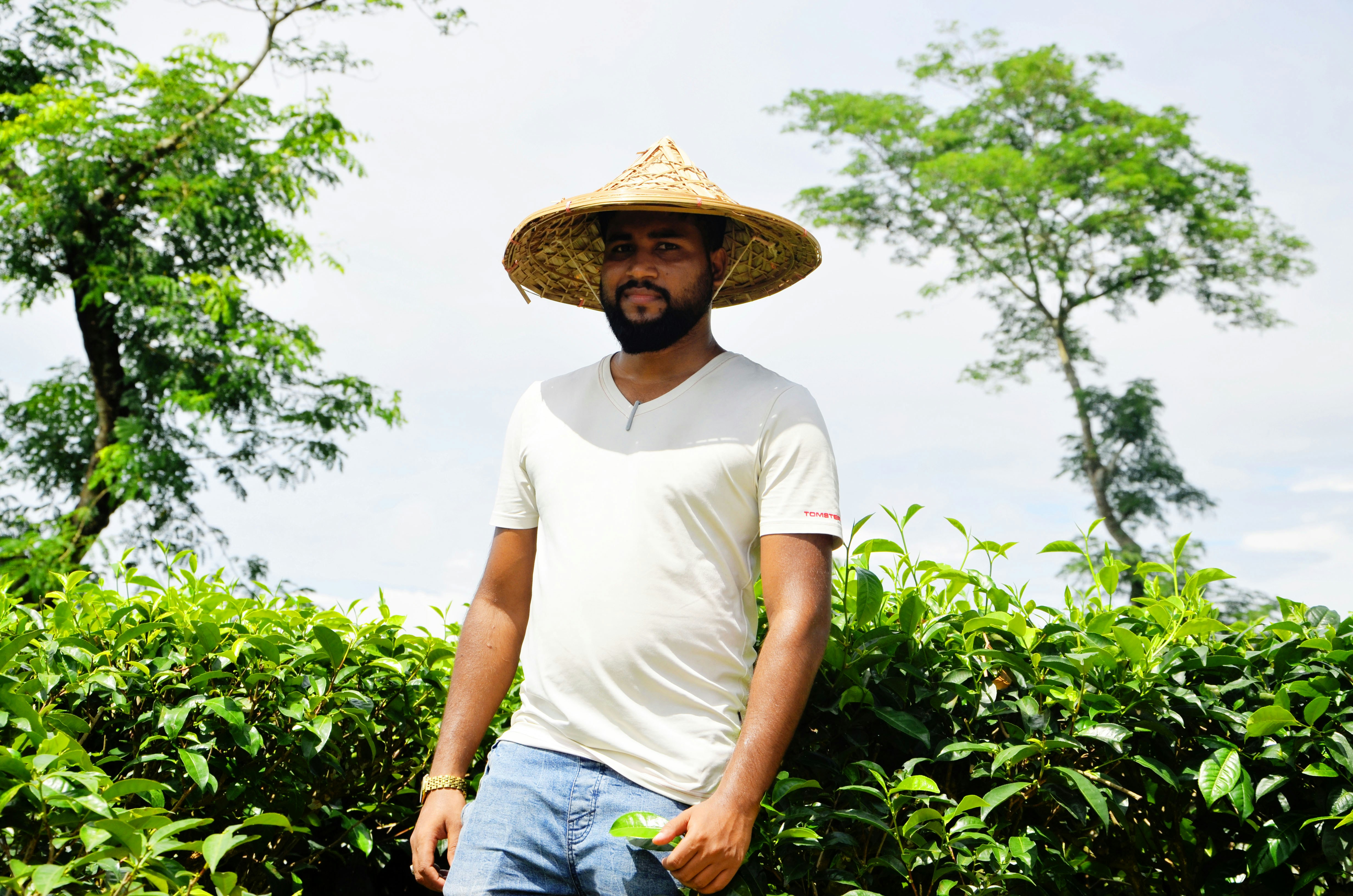 Sunlit Nomad: A Calm Portrait Amid Verdant Greenery