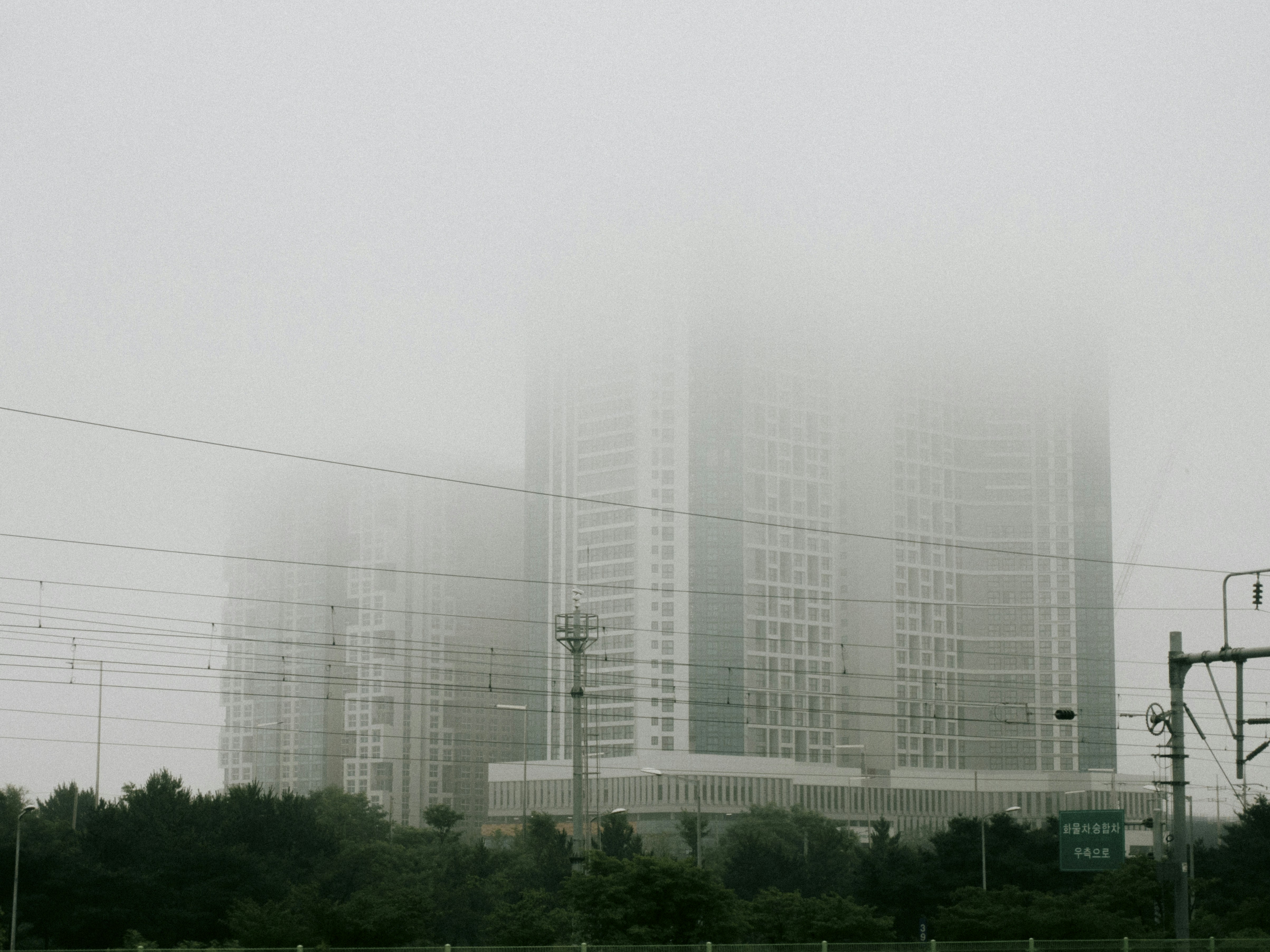 Mist-Wrapped Skyline: Towers Rising Through the City Fog