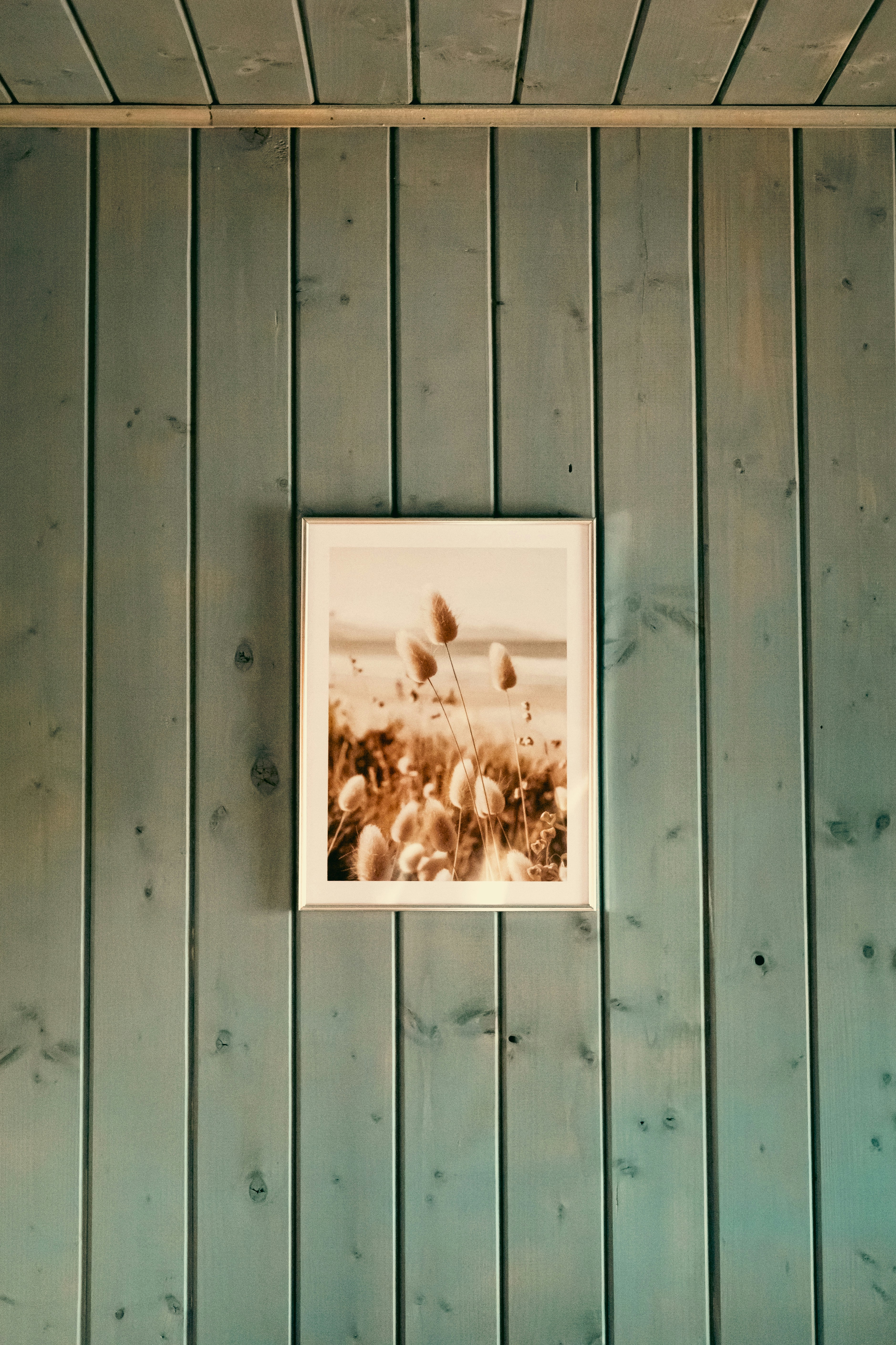 Center Frame: Dune Grass Portrait on a Teal Wooden Wall