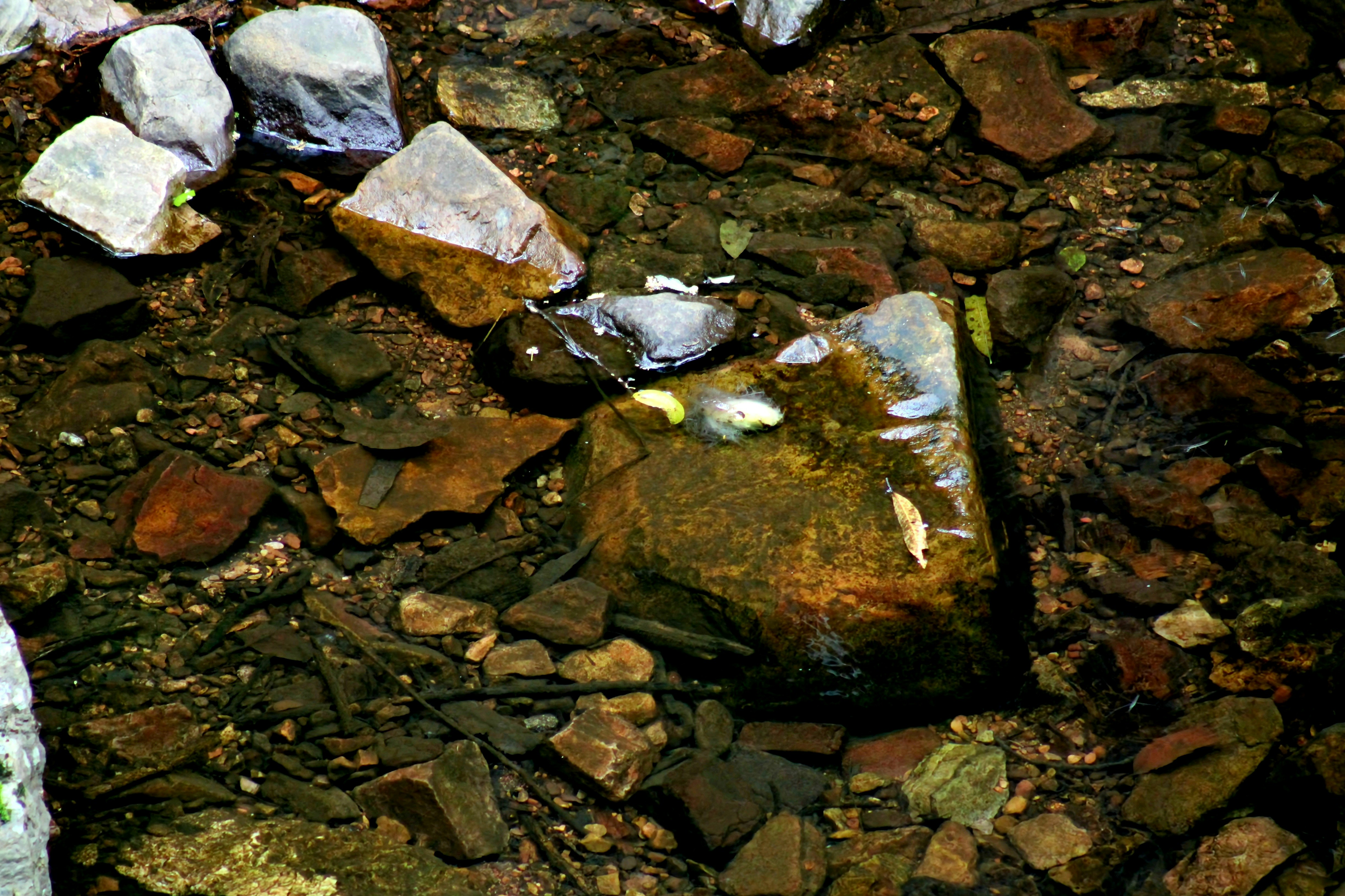 Photo by Kailash Maratha with Canon EOS 2000D