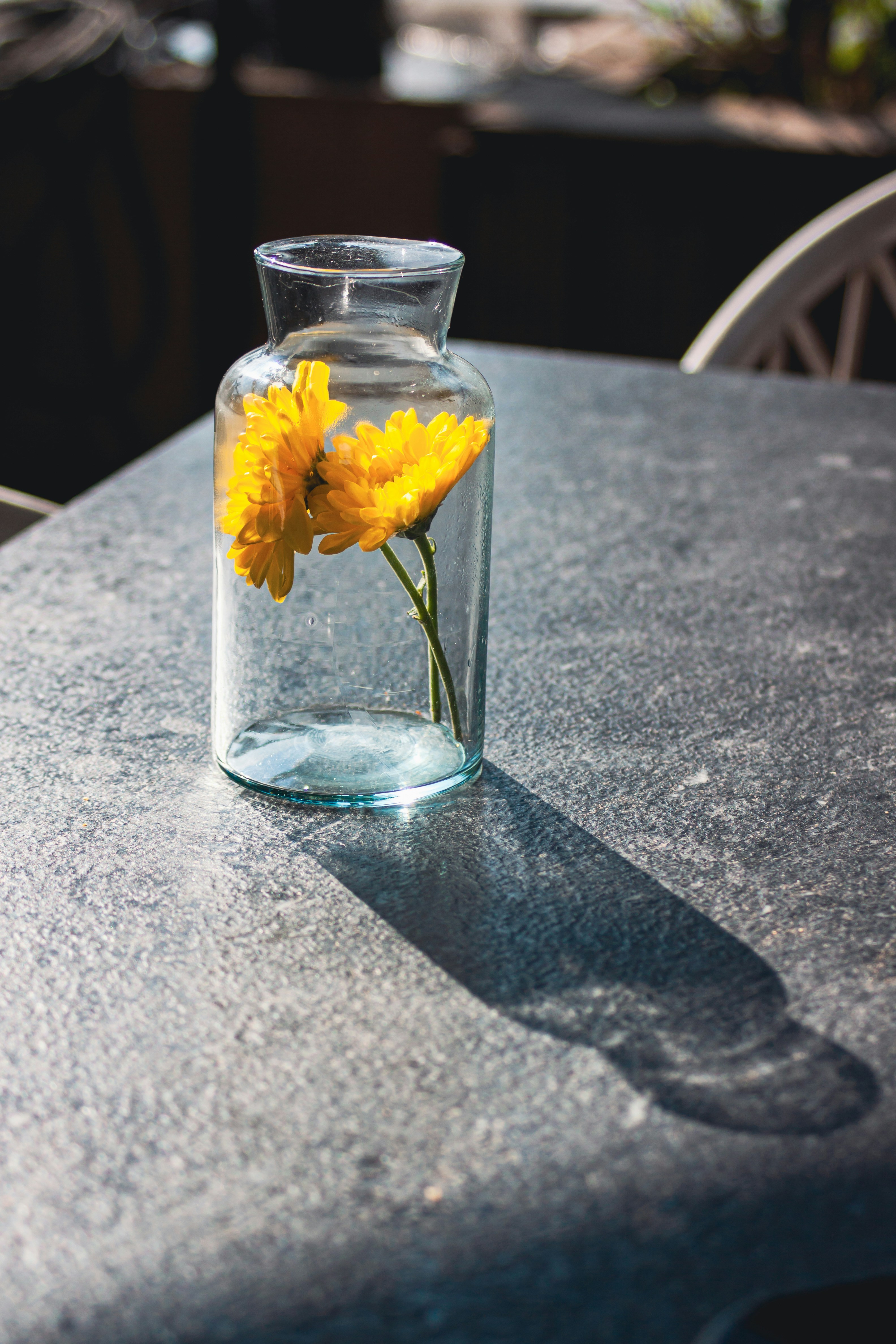 Sunlit Yellow Daisy in a Glass Bottle on Granite Table