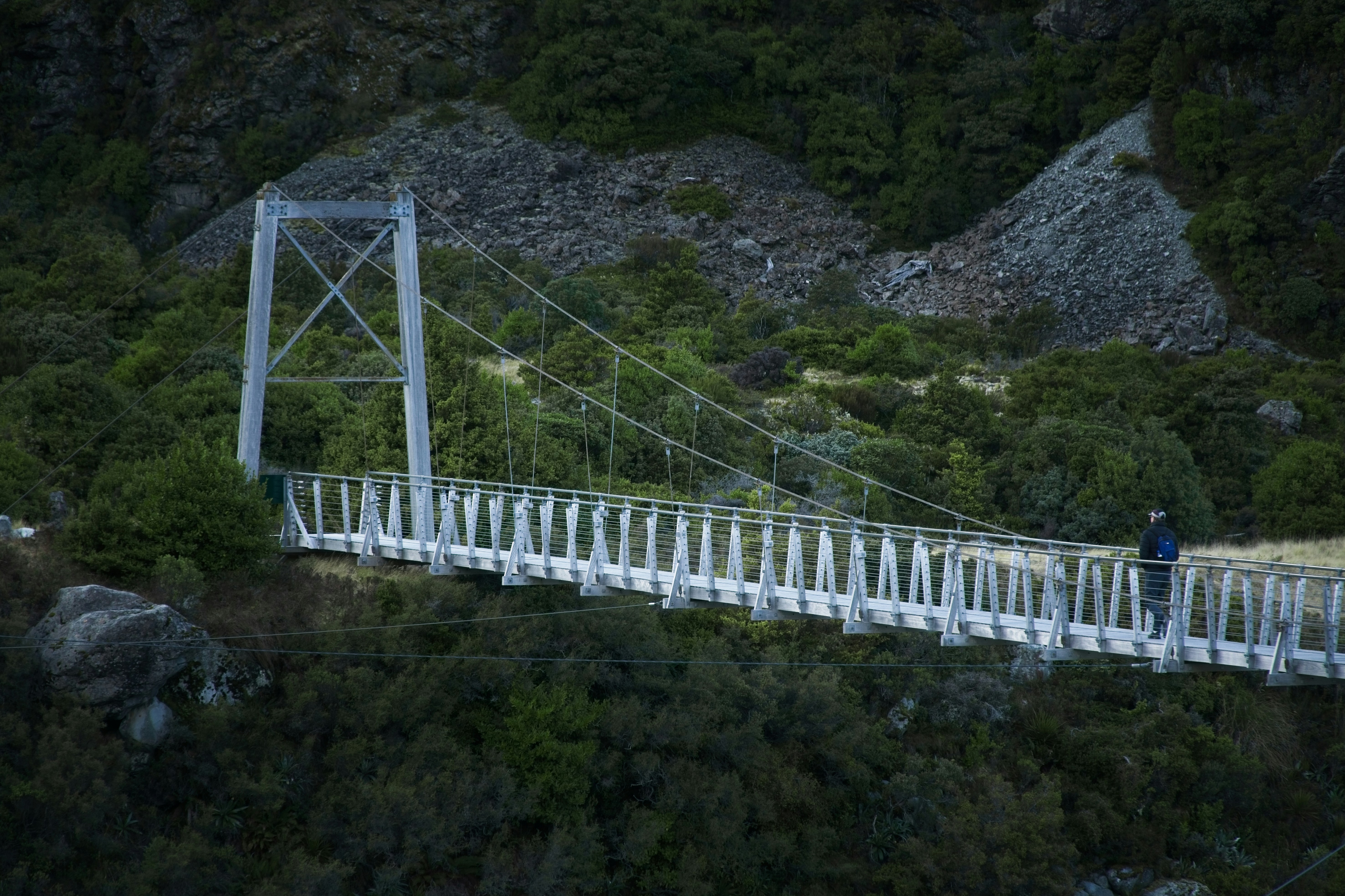 Suspension Walkway Across a Forested Gorge