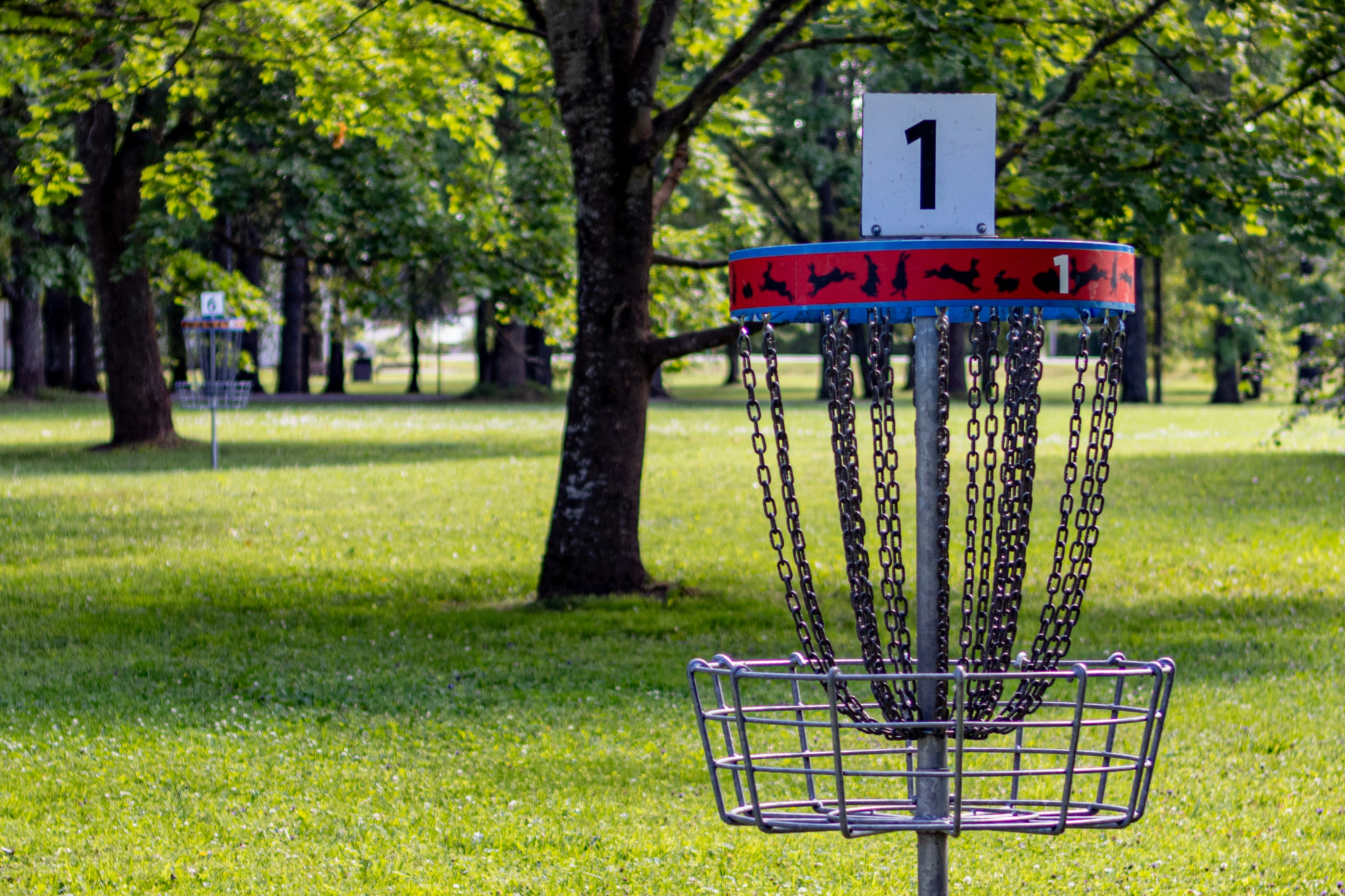 A frisbee golf cage in a park with trees photo – Free Park background ...