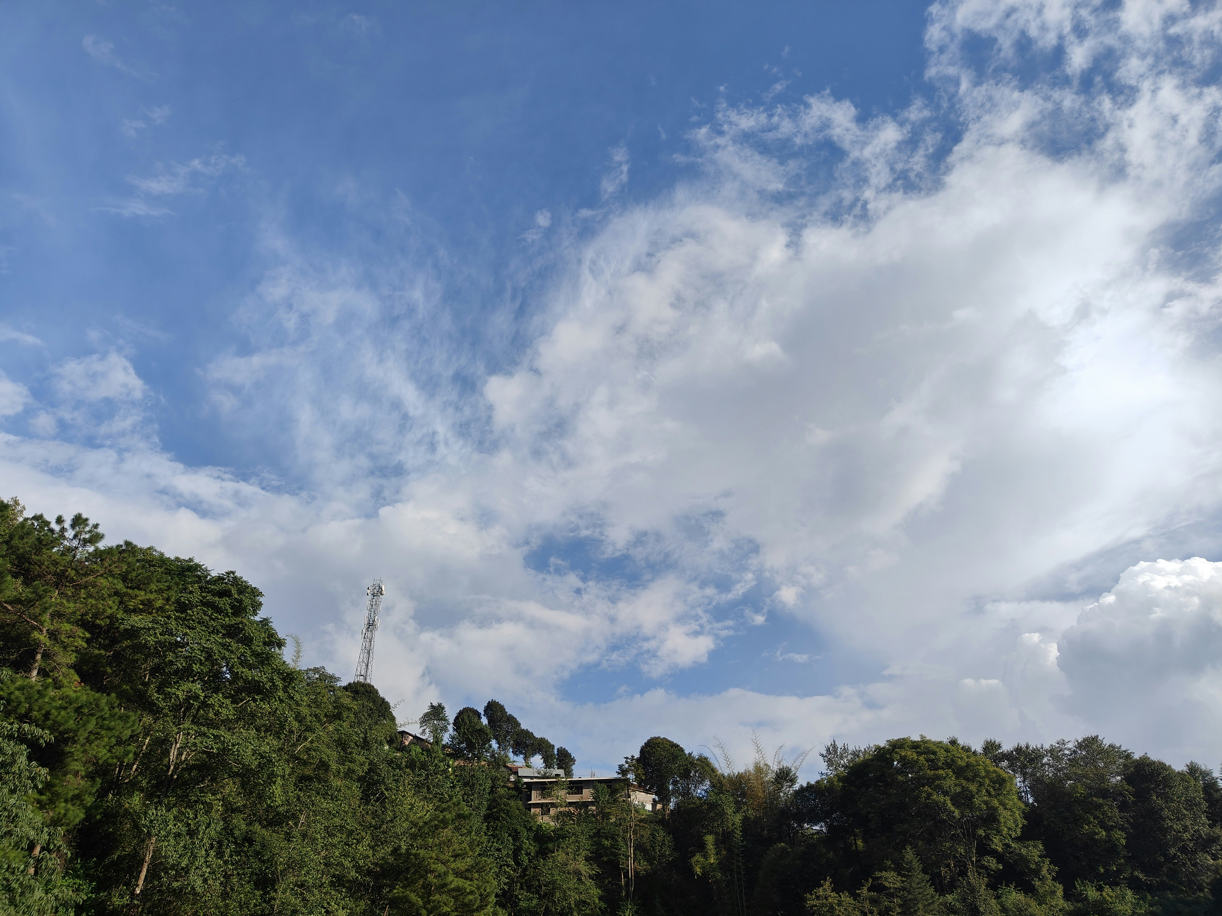 A boat floating on top of a river next to a lush green forest photo ...