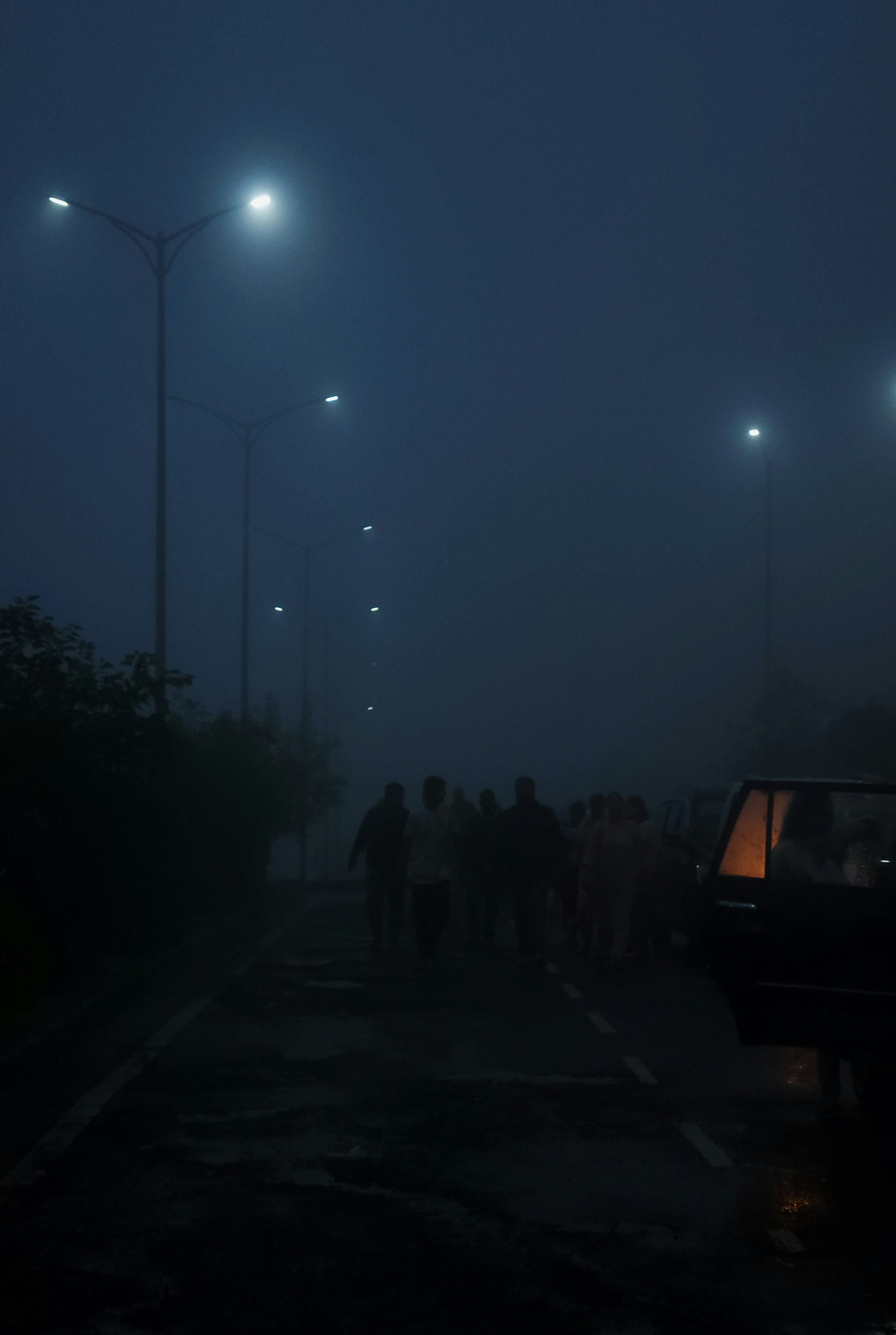 Whispers Through the Fog: A Twilight Stroll