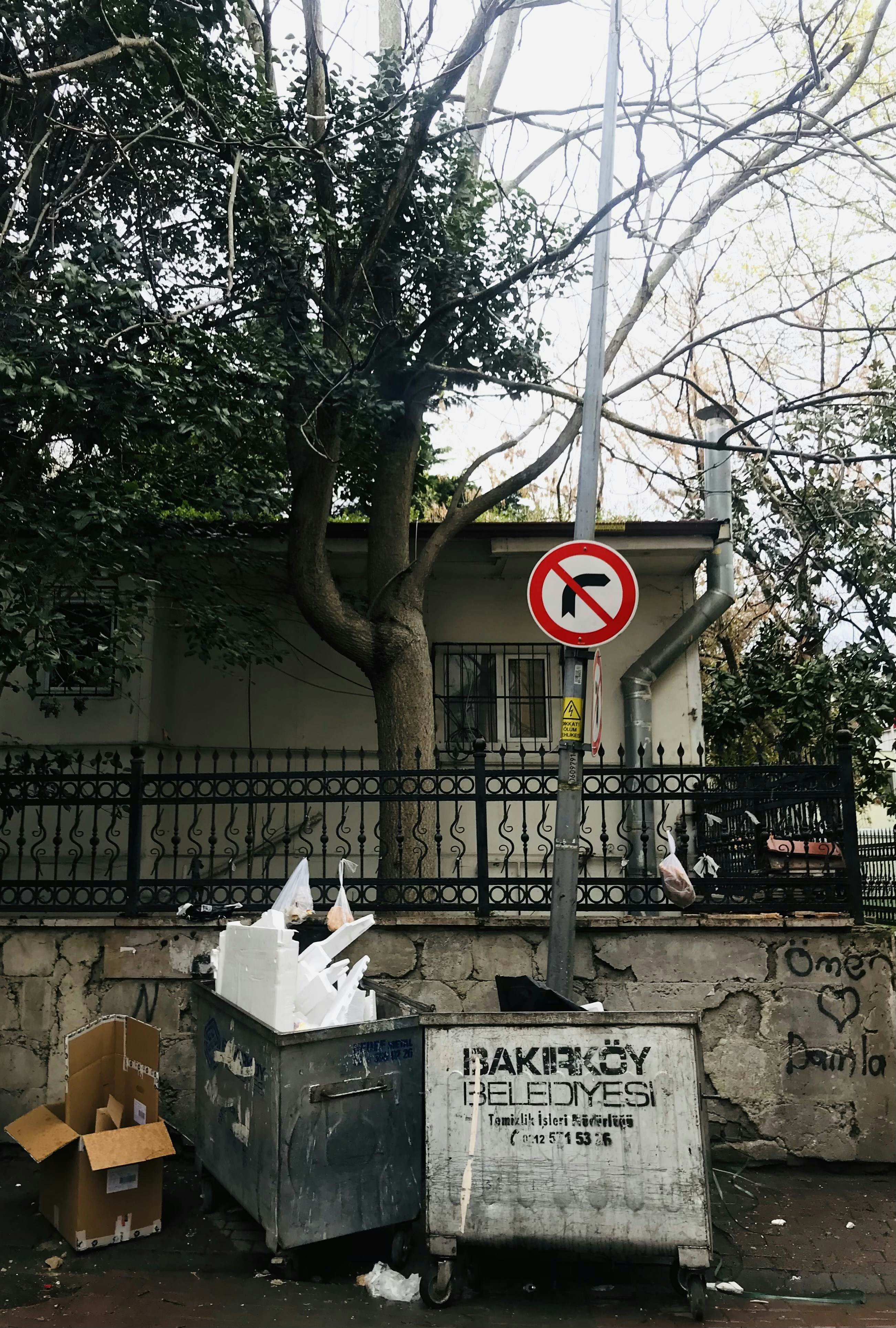 No-Left Sign Framed by Trash and Tree: An Urban Quiet Moment