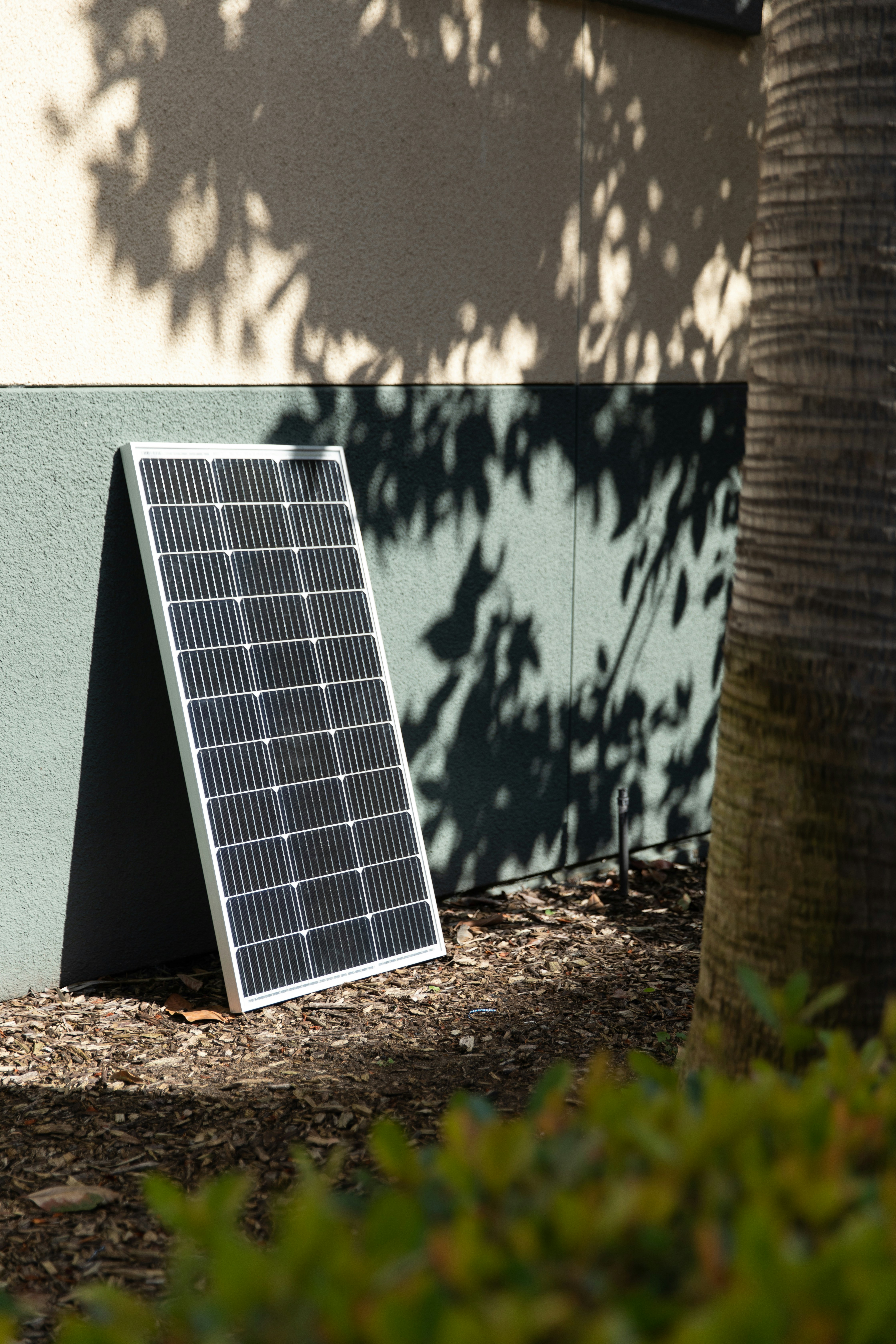 Un panel solar sentado junto a un árbol foto – Imagen de Al aire libre ...