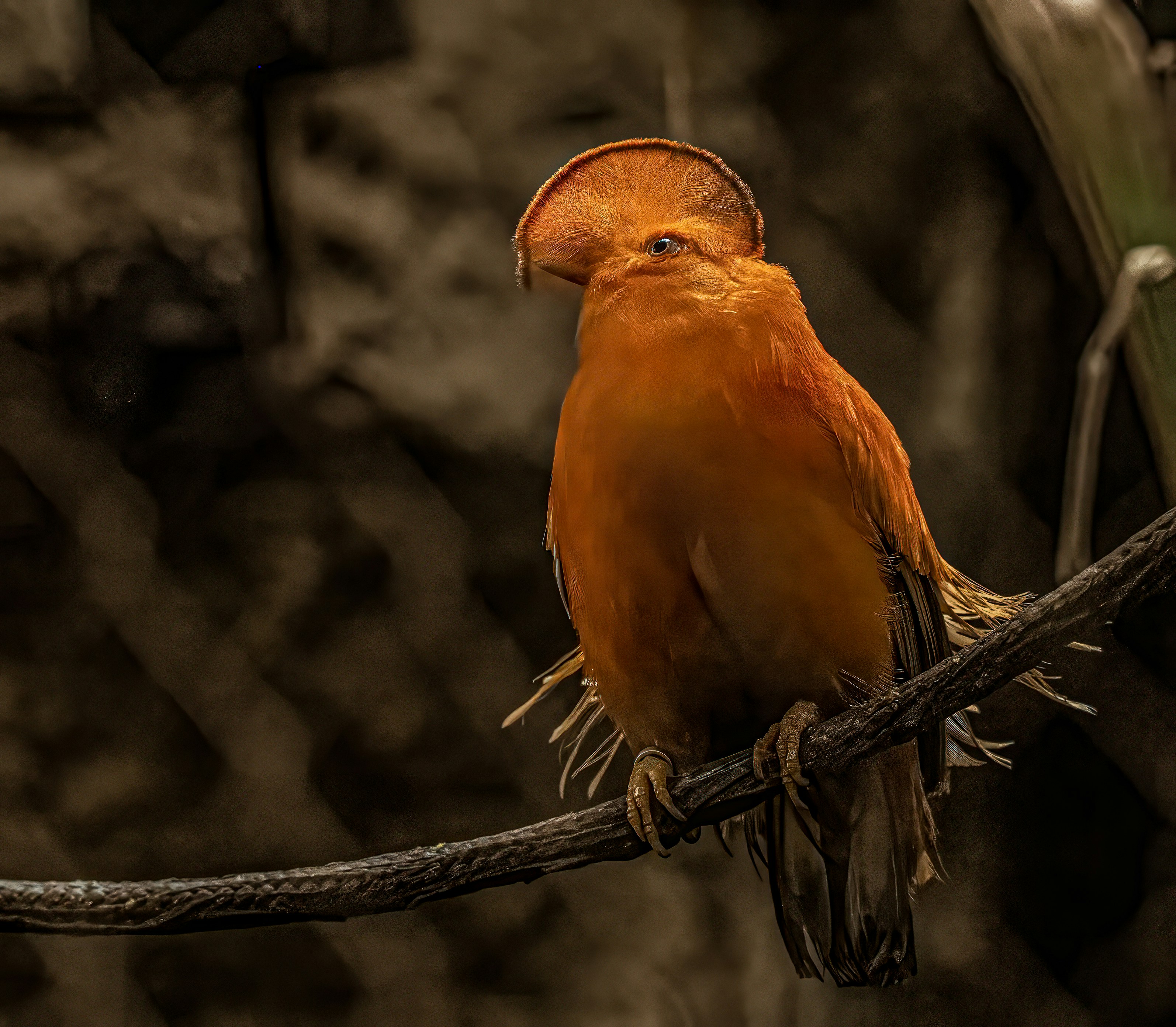 Photo by mana5280 with Sony Alpha 1